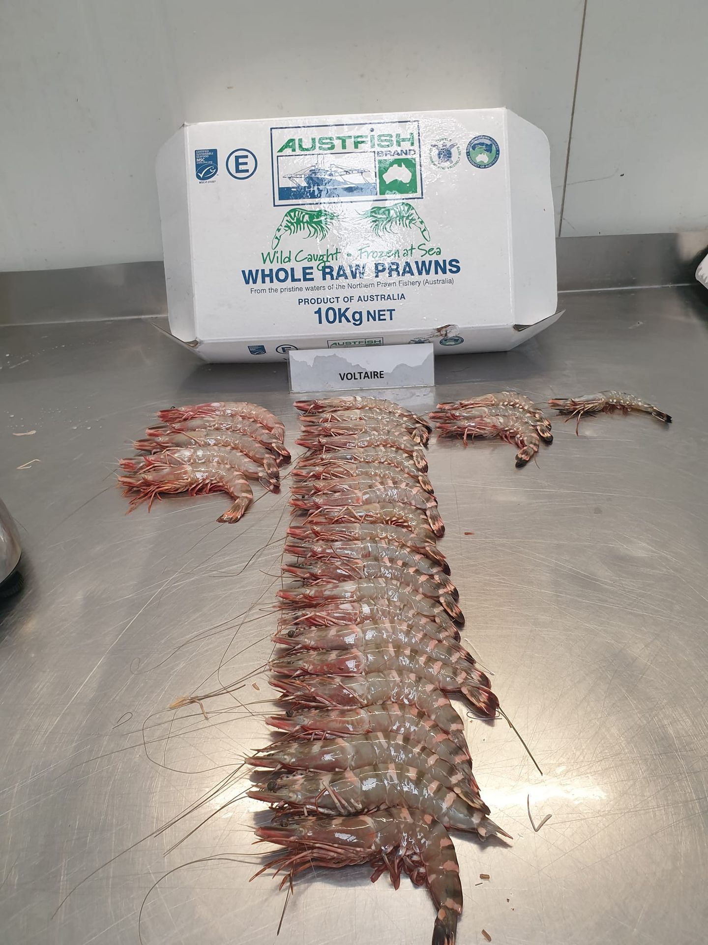 Fresh Australian Prawns – Austfish's Best Quality Catch