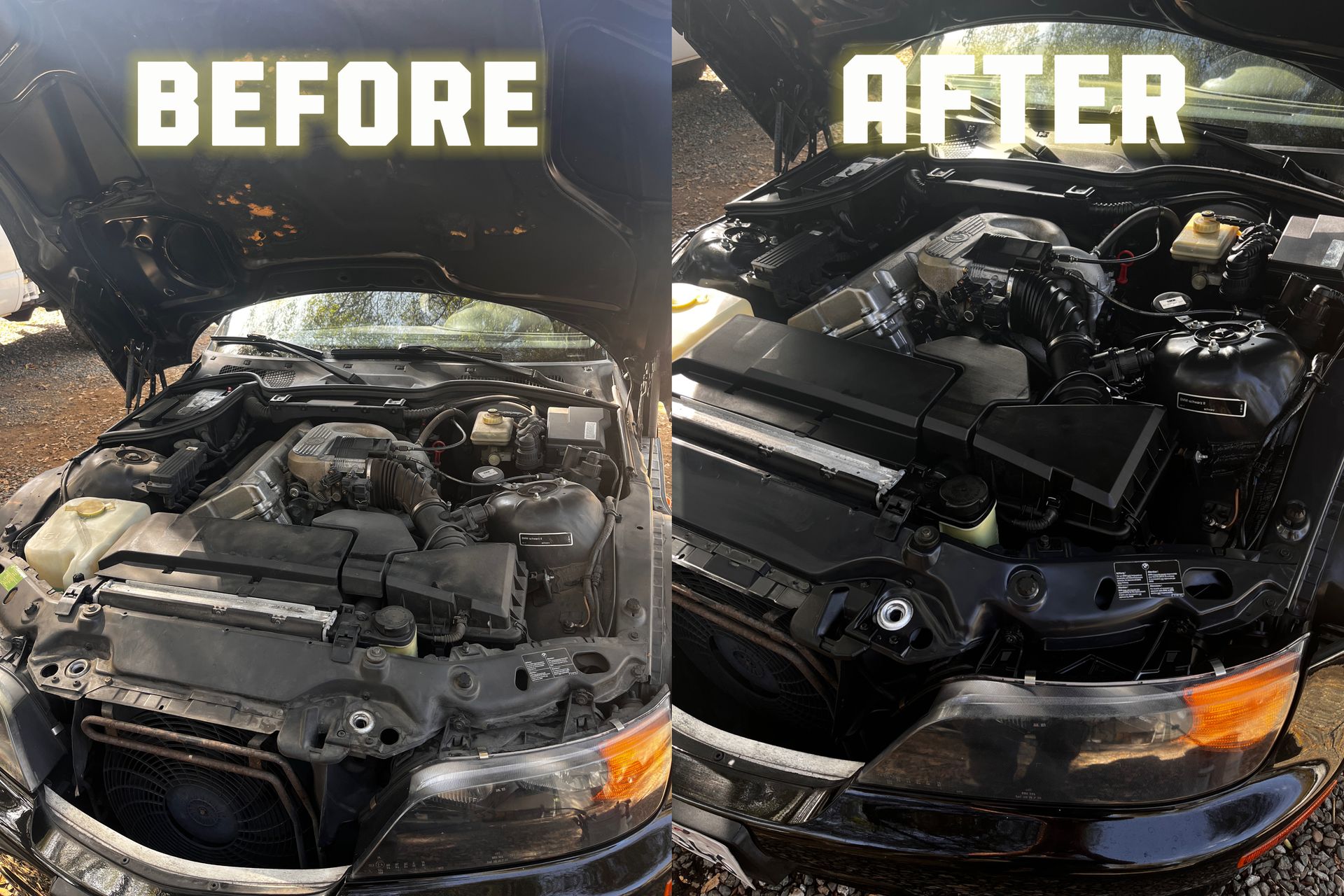 Engine Bay Cleaning in Placerville, CA and beyond!