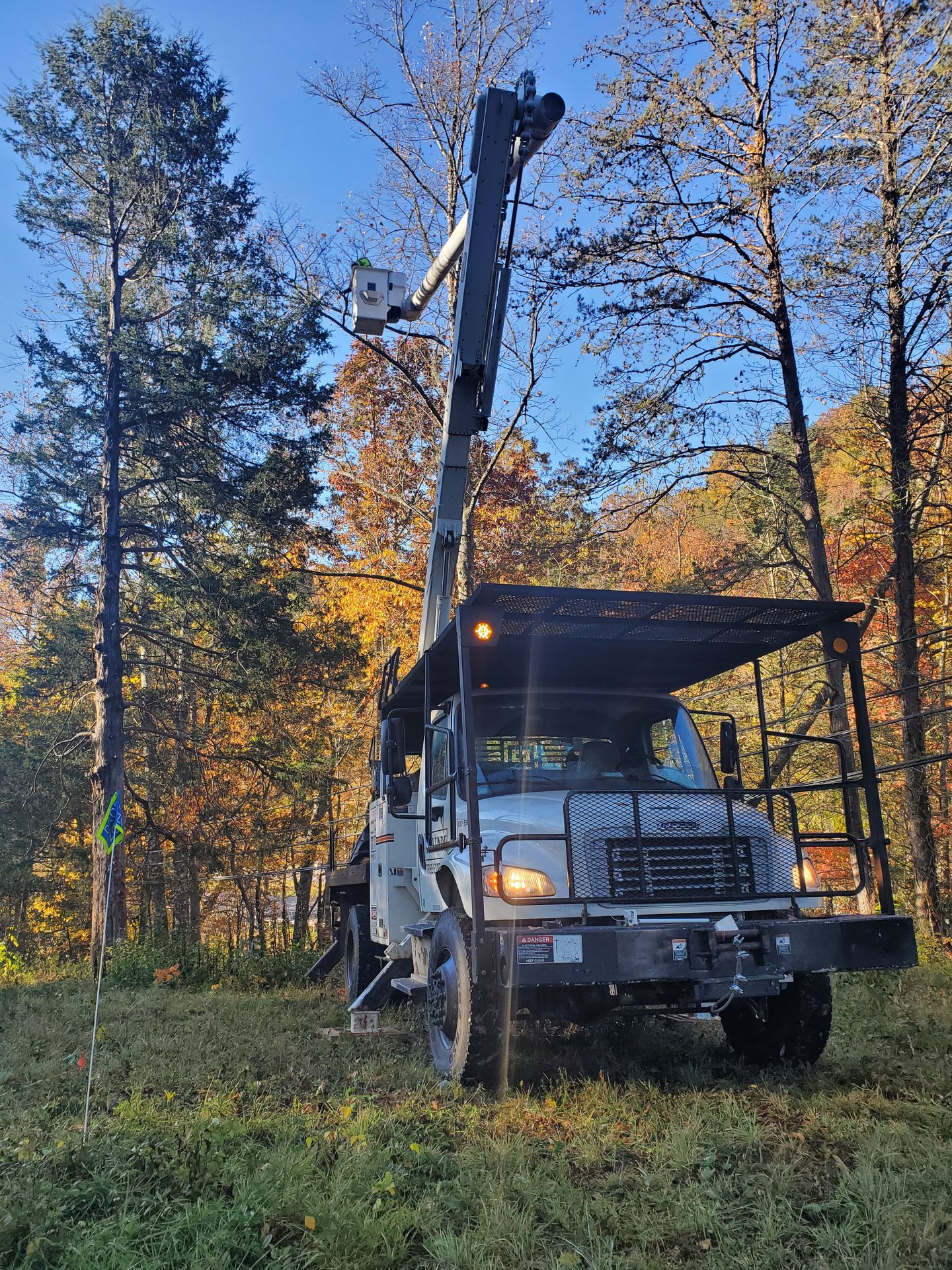 Expert Arborists for Tree Care | Notch'em Tree Service