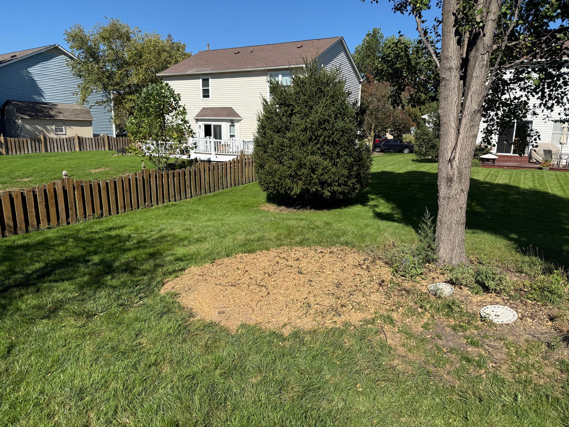 The Importance of Professional Stump Grinding for Your Indianapolis ...