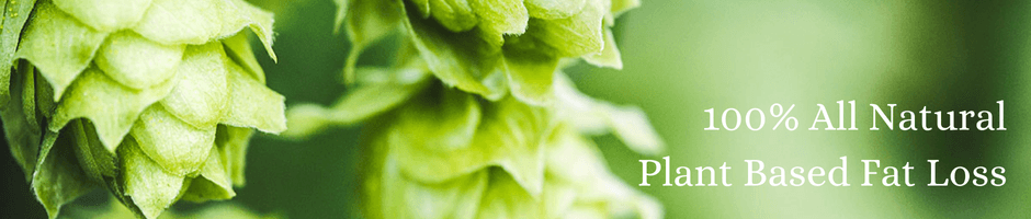 Slim Whilst you Sip!