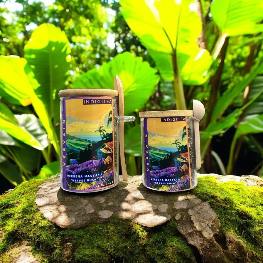 Discover Premium Blue Vervain Herbal Tea at Indigitea