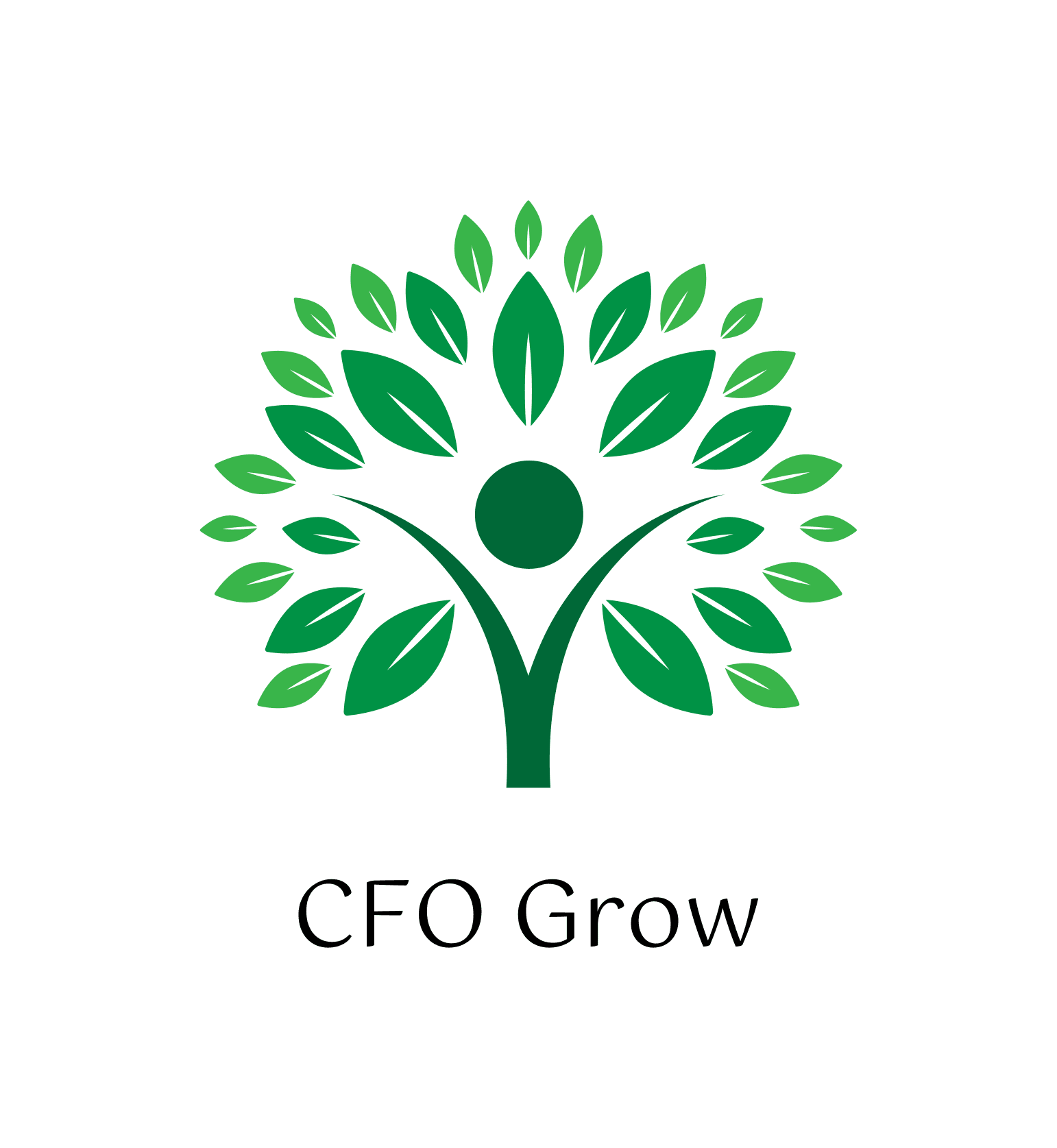 CFO Grow: Accelerate your growth, add a CFO