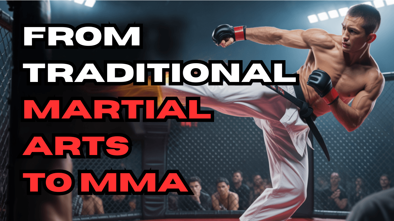 From Traditional Martial Arts to MMA