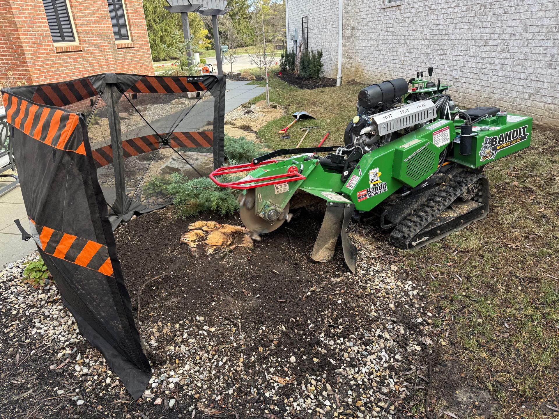 DIY vs Professional Stump Grinding: Making the Right Choice