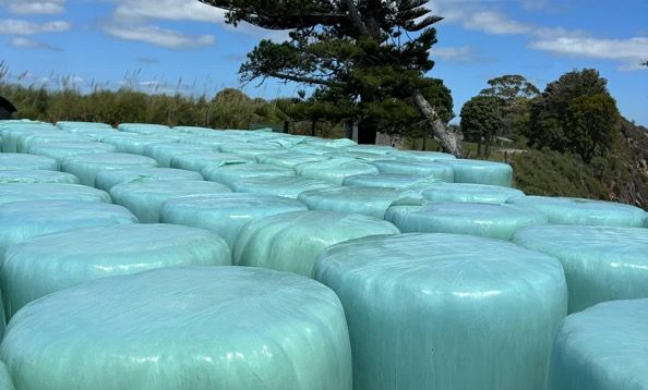 Seal in Freshness: How Silage Wrap Protects Your Livestock Feed
