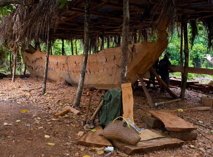 Preserving Tradition, Building the Future: Help Us Construct a Canoe ...