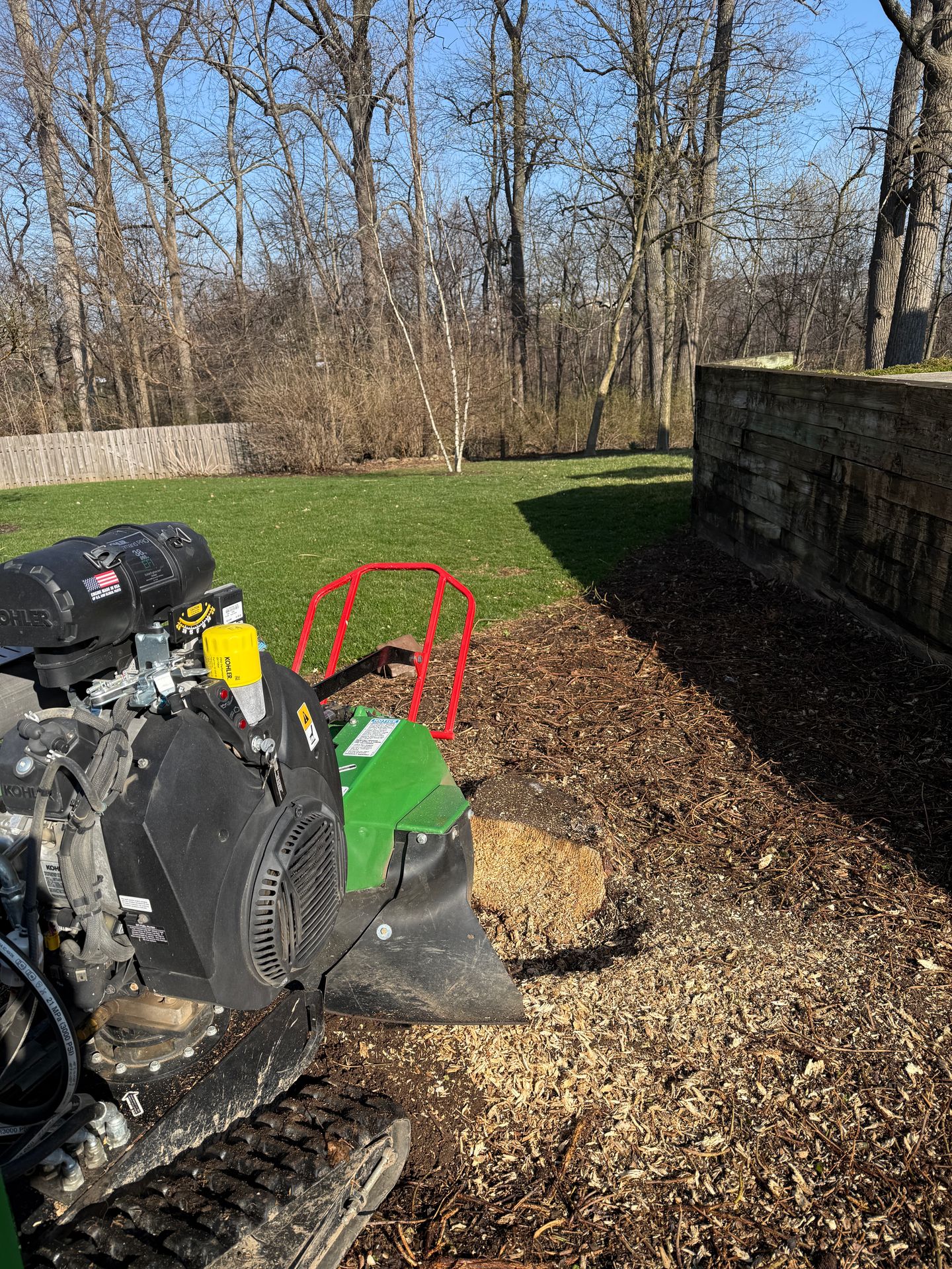 Top Signs You Need Stump Grinding Services