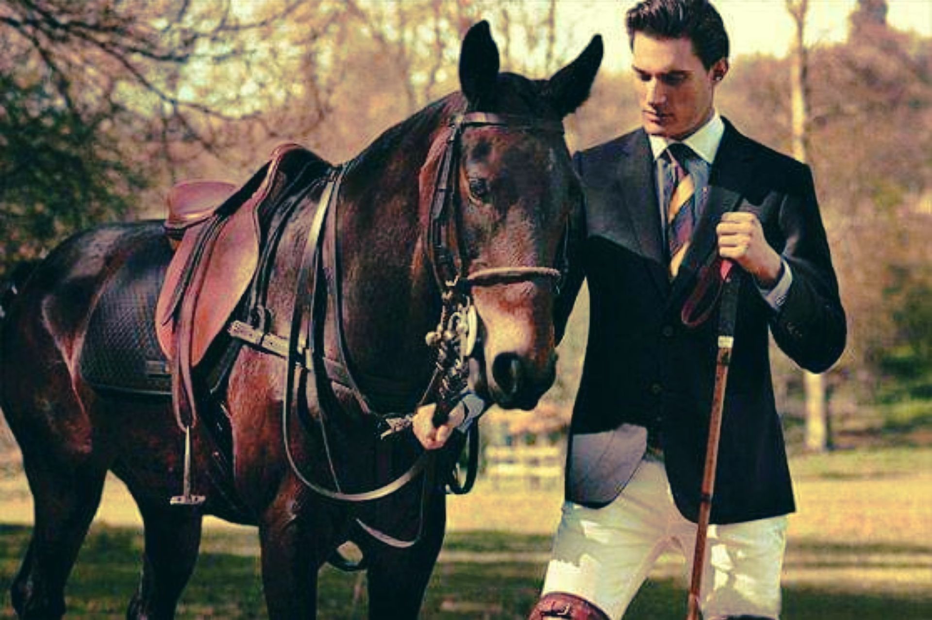10 Essential Polo Accessories Every Player Should Have