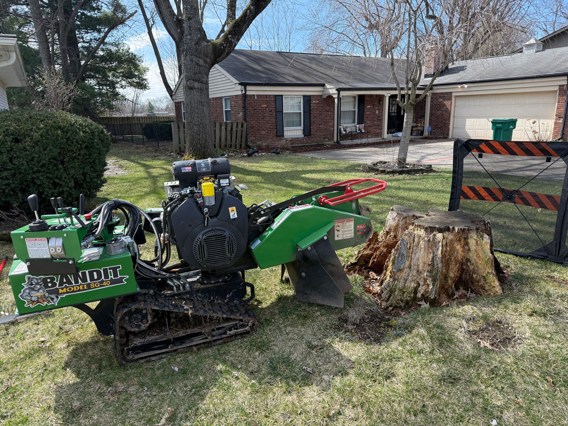 How Much Does It Cost to Grind Down a Tree Stump?