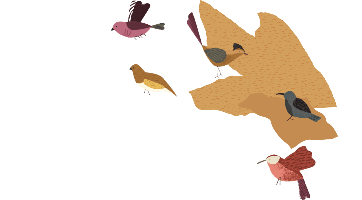 Oracle Redwood - not just a Facelift, it's Fusion Reimagined