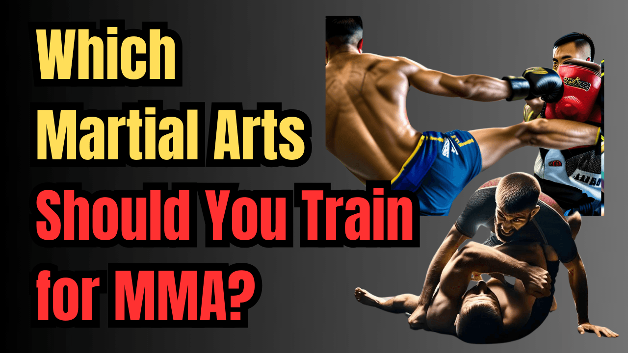 WHICH MARTIAL ARTS SHOULD YOU TRAIN FOR MMA? 🥊🥋
