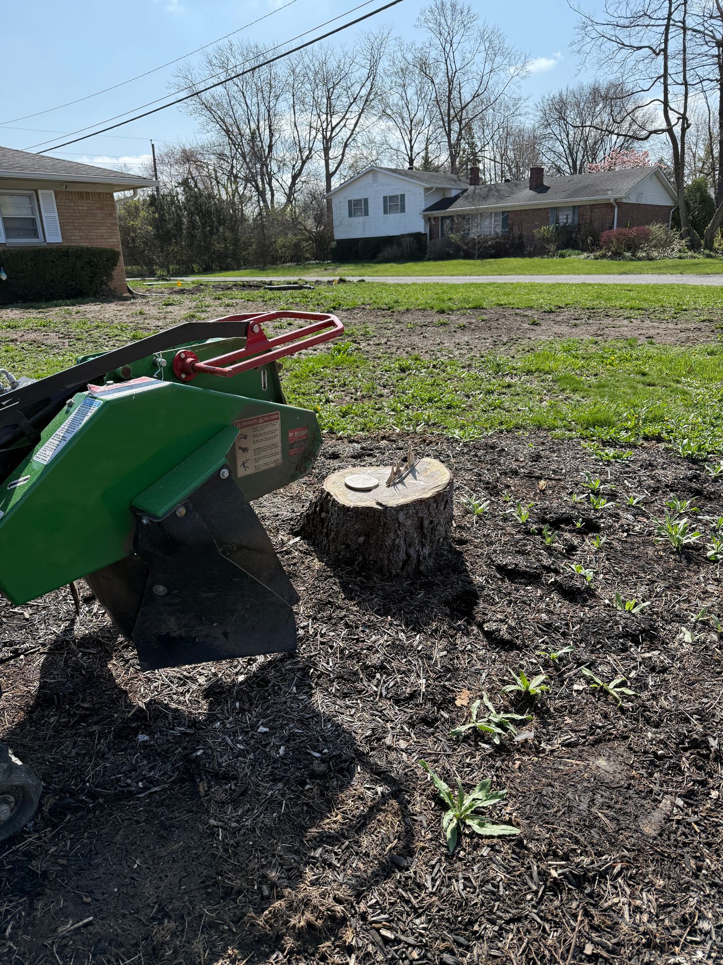 How Long Does It Take to Grind a 20-Inch Stump?