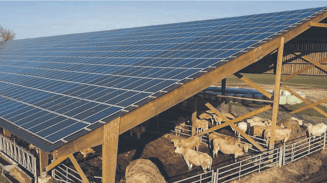 Everything Farmers Need to Know About Putting Solar Panels on Sheds