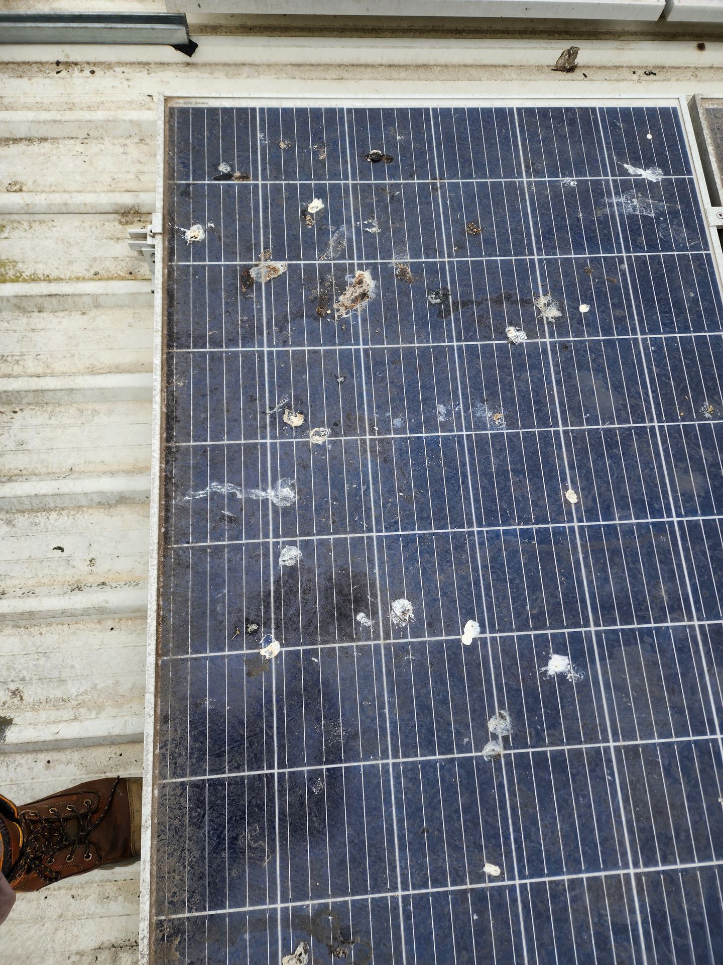 Why Solar Panels Fail Prematurely in Australia: The Role of Maintenance