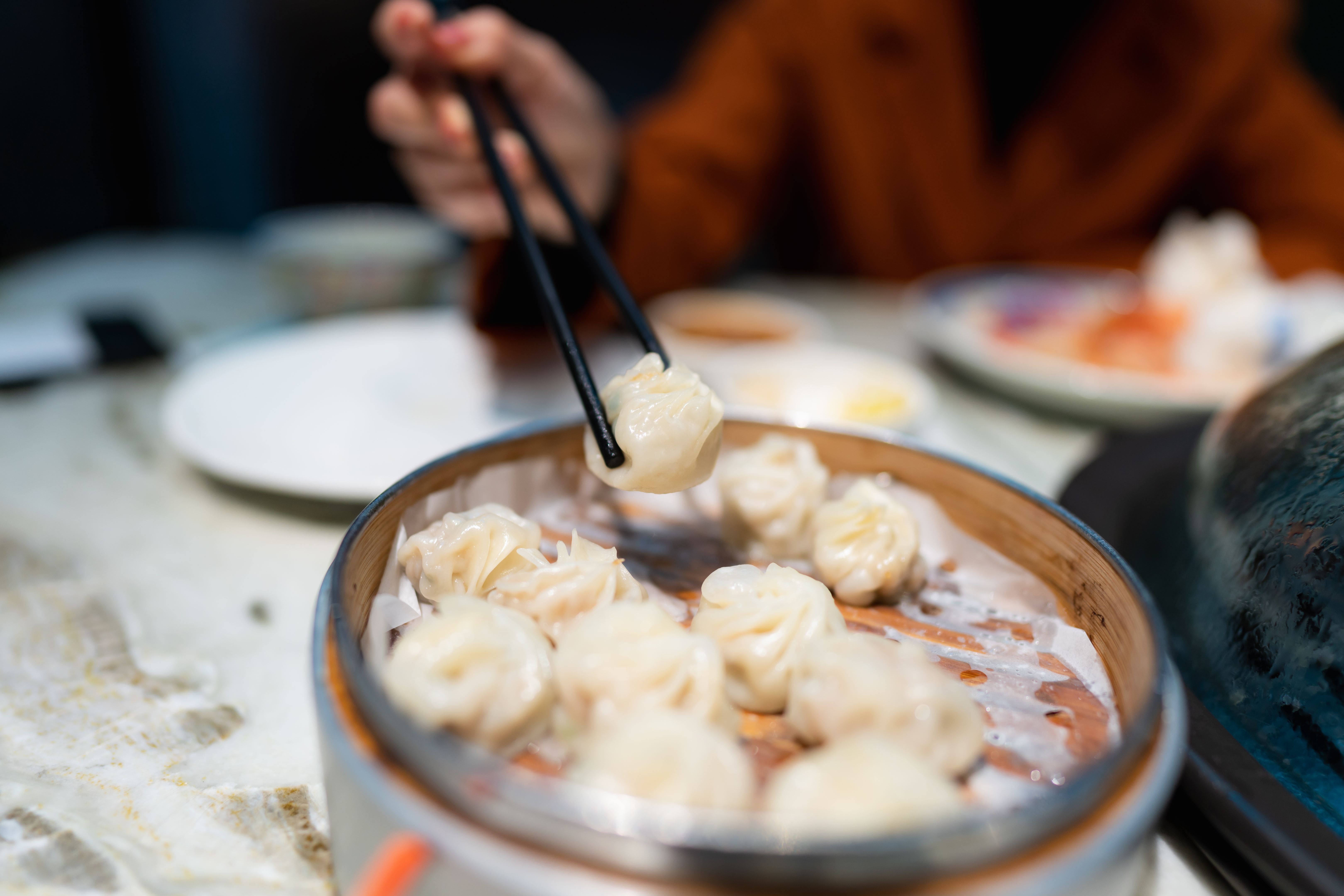 Dumpling Delights: Cozy Eats & Fun Facts in Australia