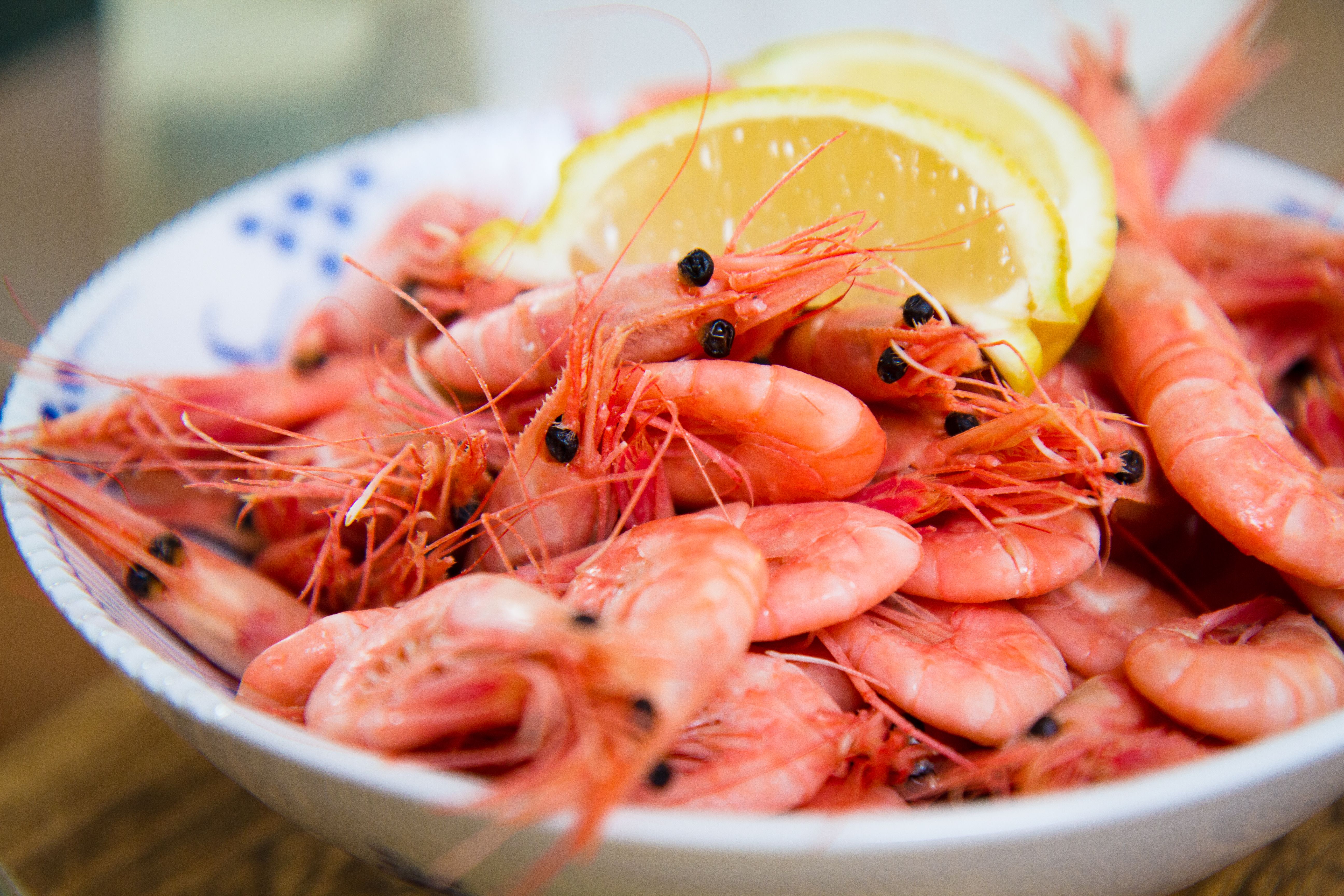 The Rich Flavors of Norwegian Seafood and Shrimps