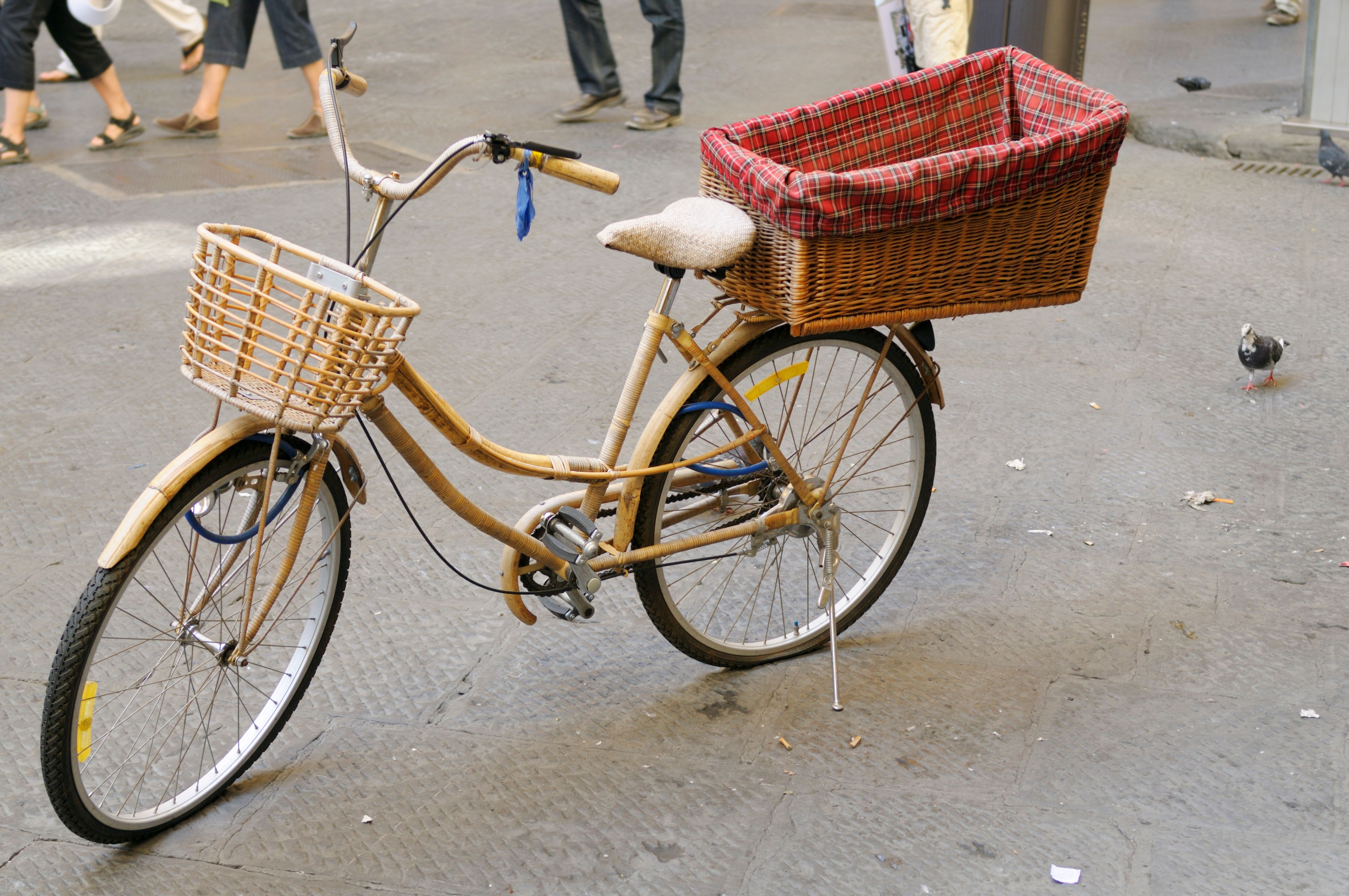 Find Eco-Friendly Bamboo Bikes at Reed Bikes Coimbatore