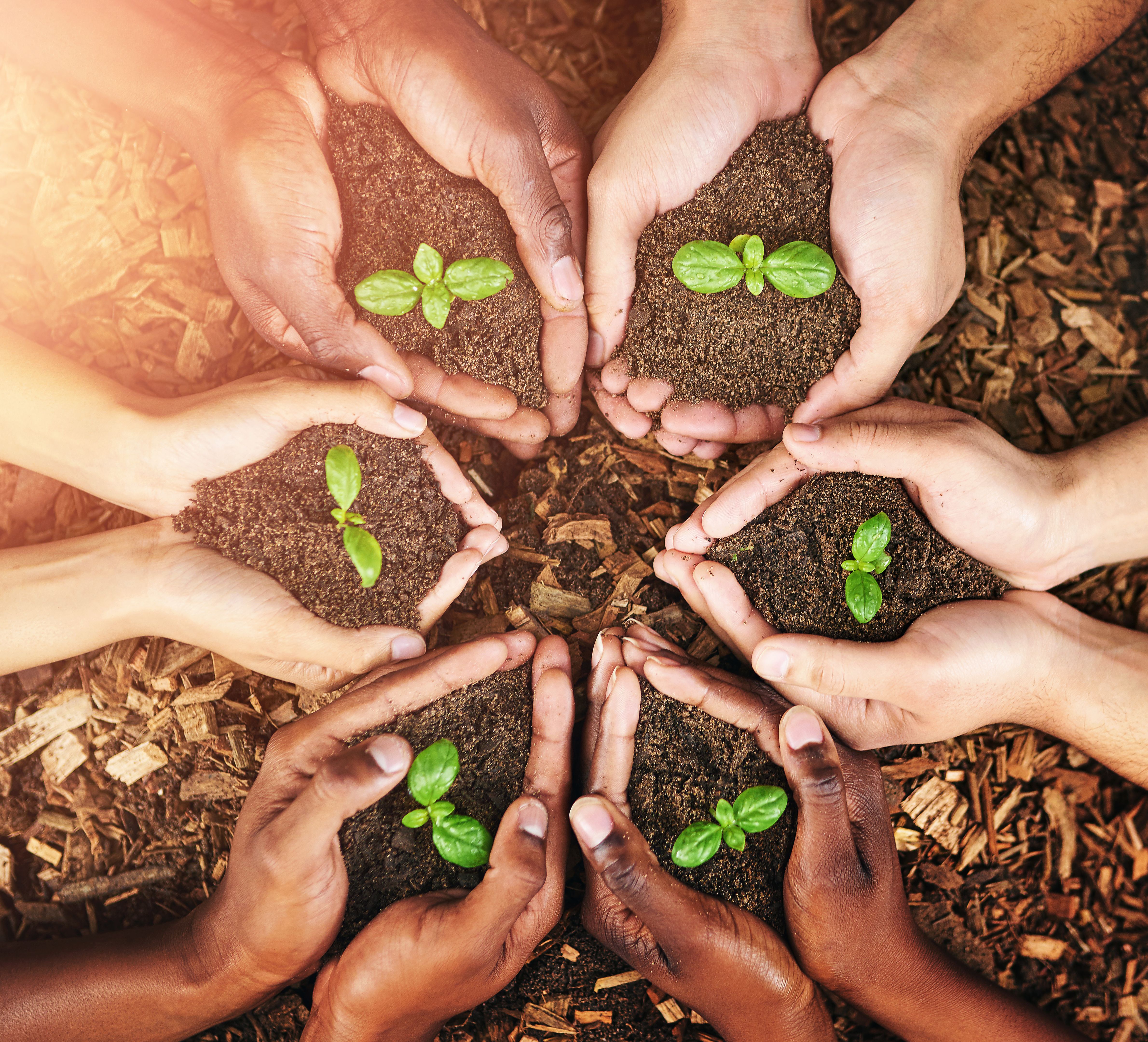 Embracing Nature's Cycle: Lessons in Personal Growth from Life's Six Stages