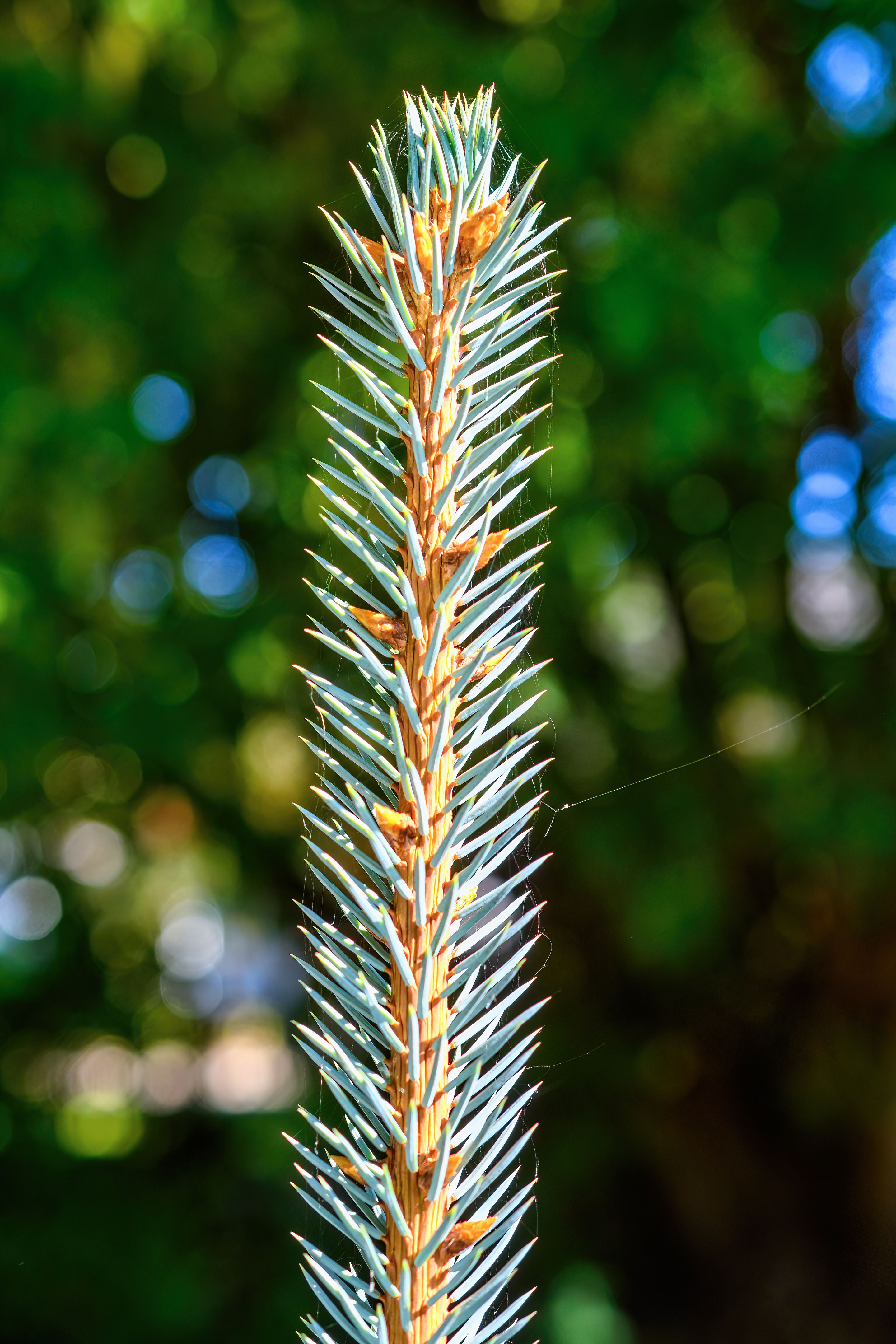 TheWatch App: Deepen Your Faith, Connect in Prayer