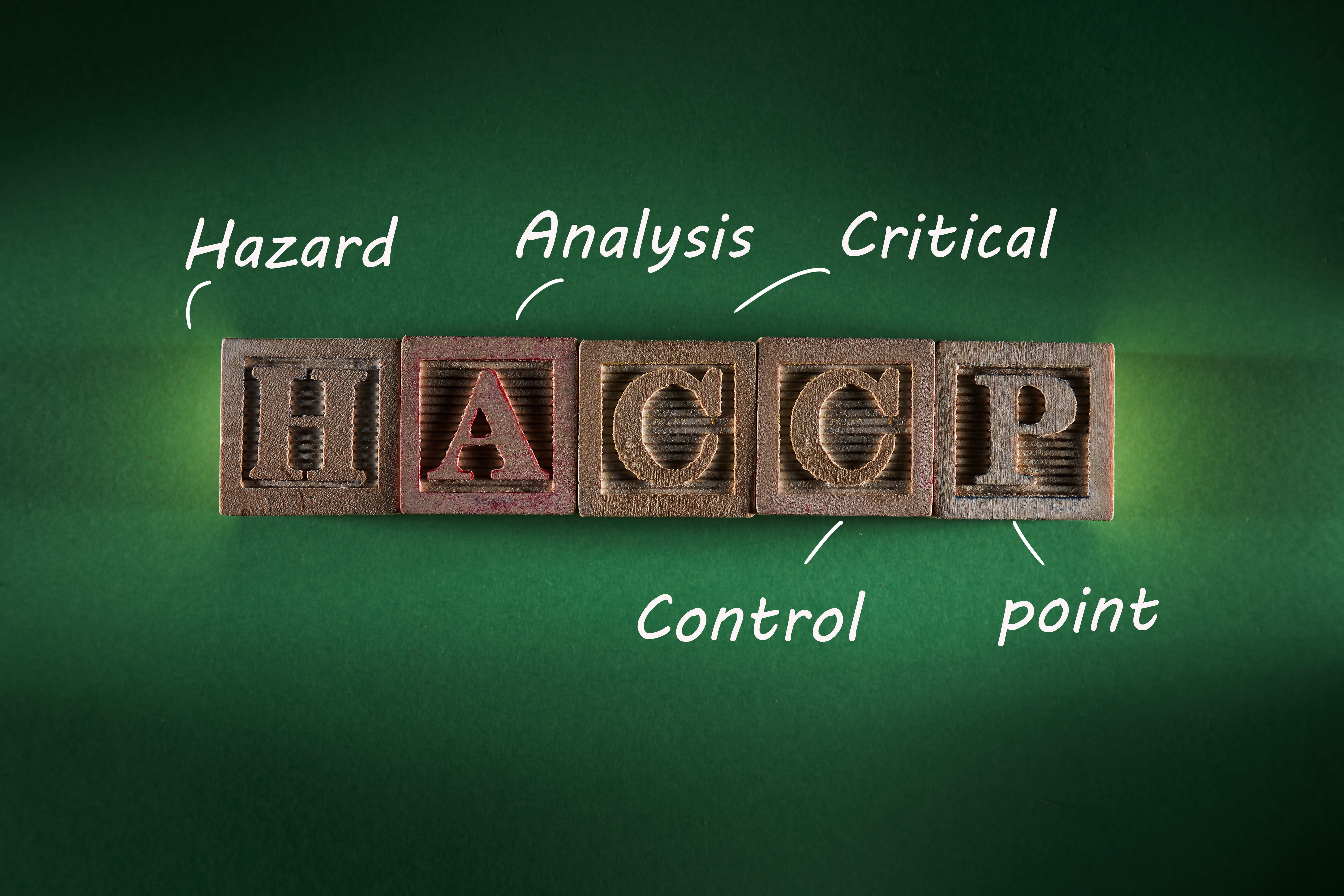 How to Develop an Effective HACCP Plan: Expert Insights