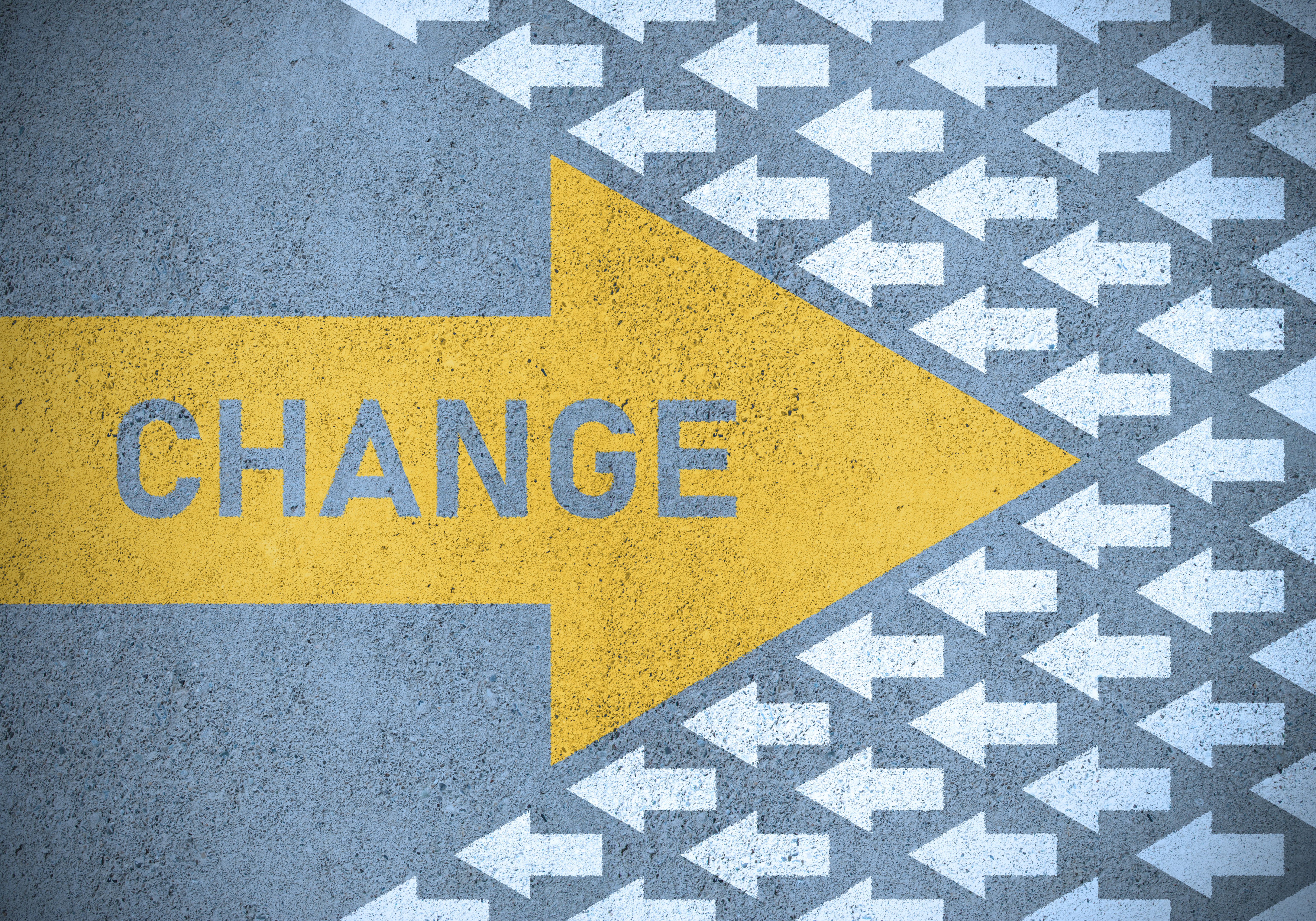 Operation Director - Strategic Operation Transformation