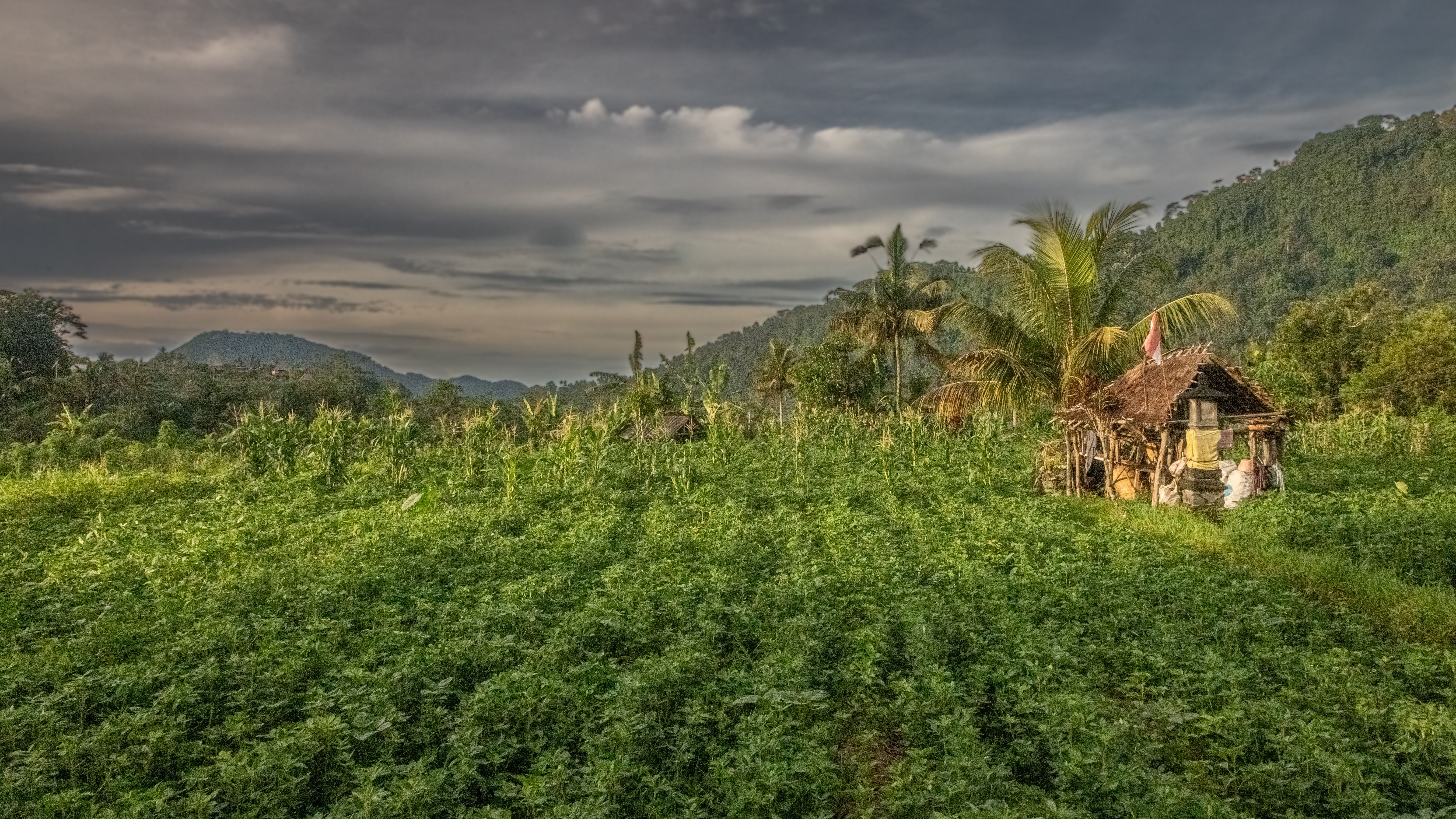 Exploring Agritourism: Connecting with Nature and Farming