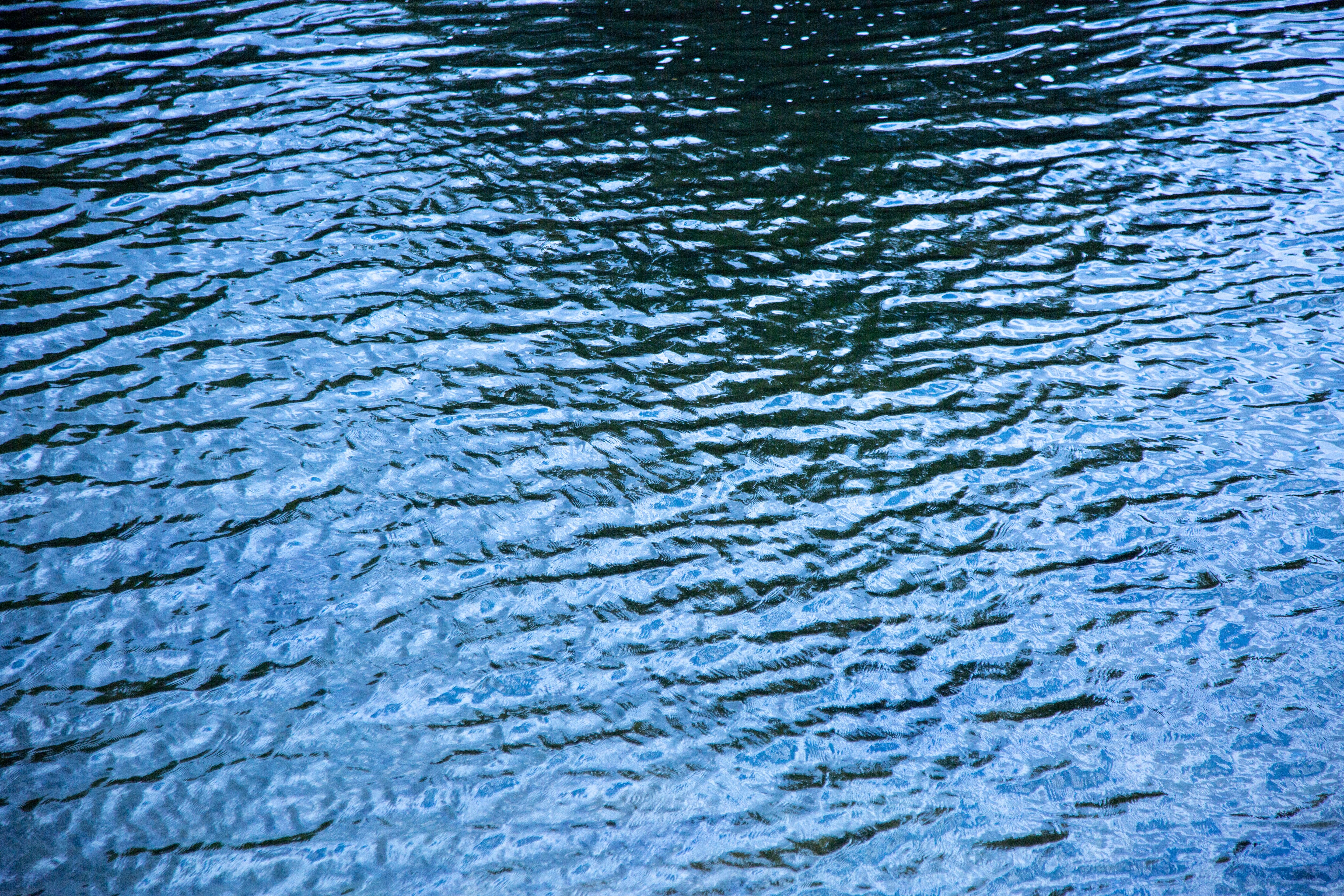 The Role of Water in Muscle Function, Injury Prevention, and Cognitive ...