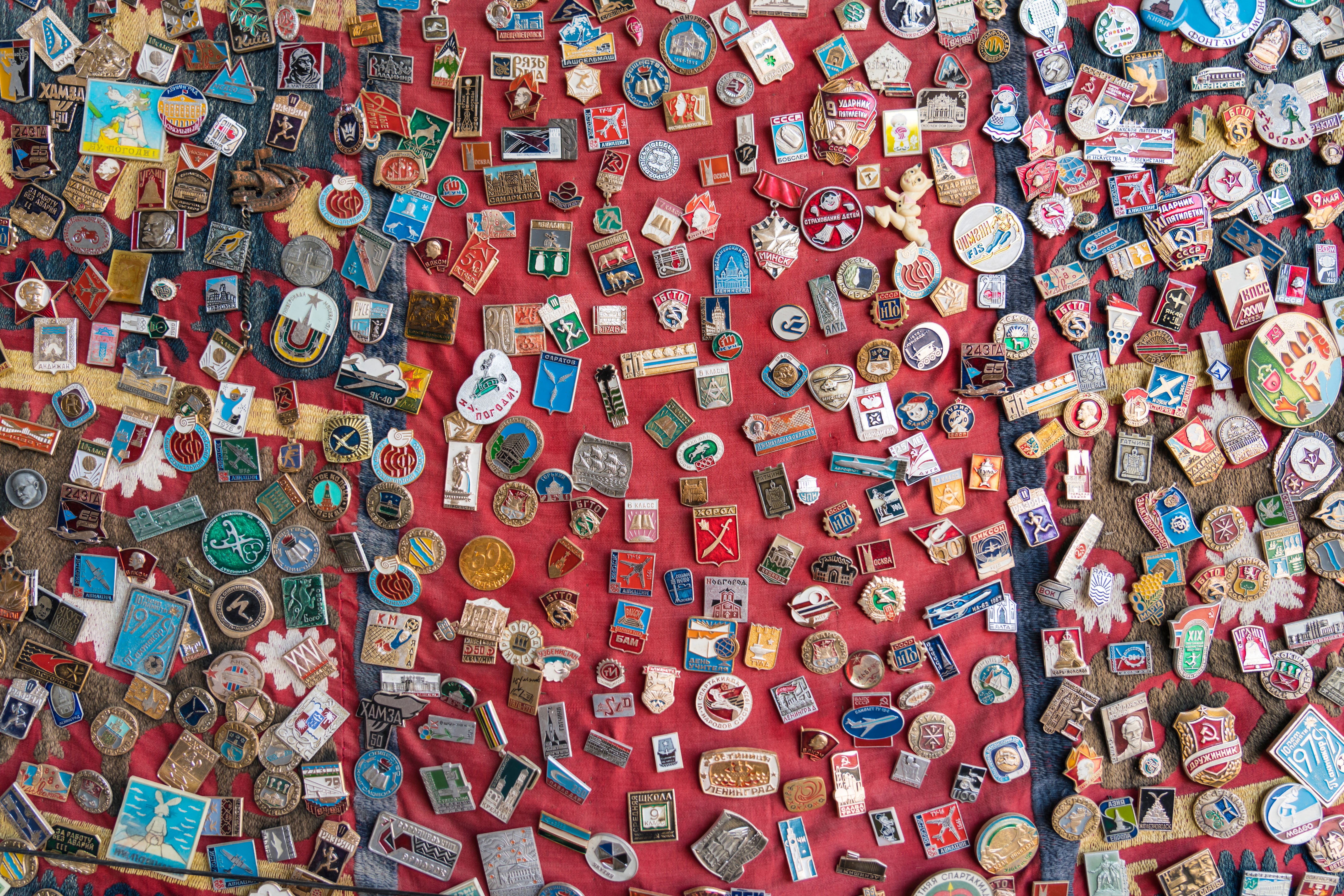 The Ultimate Guide to Panini Sports Cards: A Collector's Dream