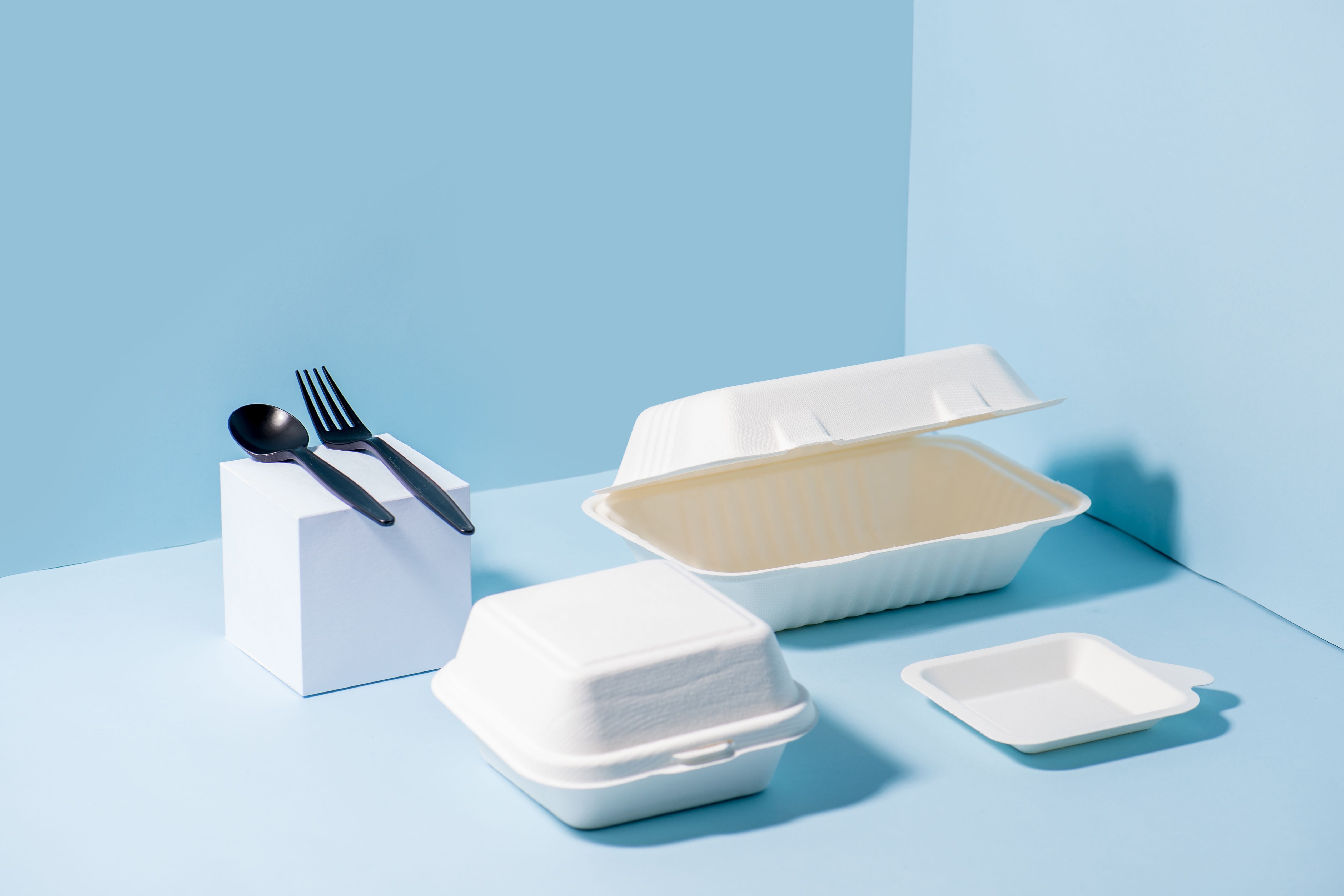 Elevate Your Food Service with Customizable Compostable Sugarcane ...