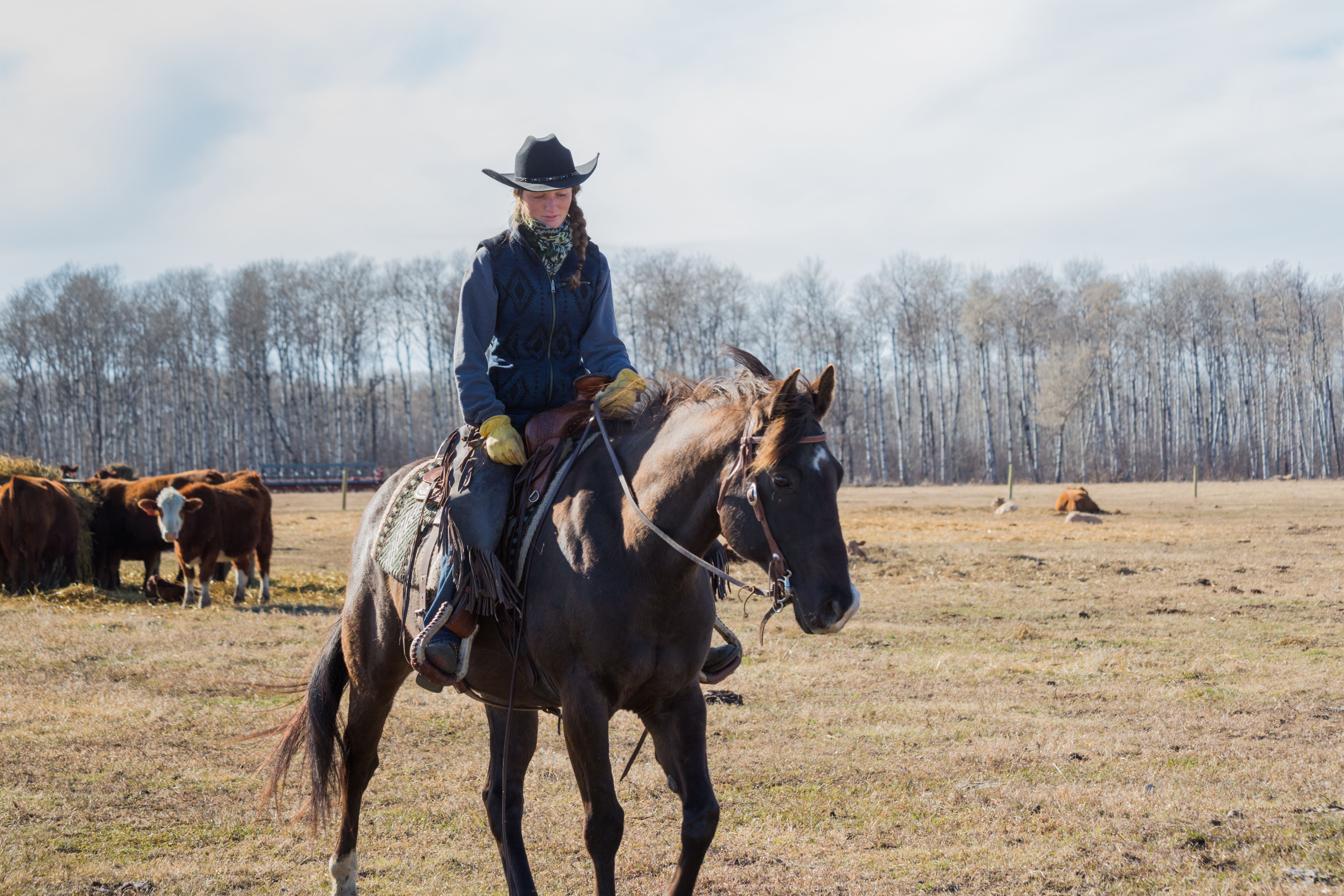 Double Six Ranch: Premium Beef, Riding & Hay in TX
