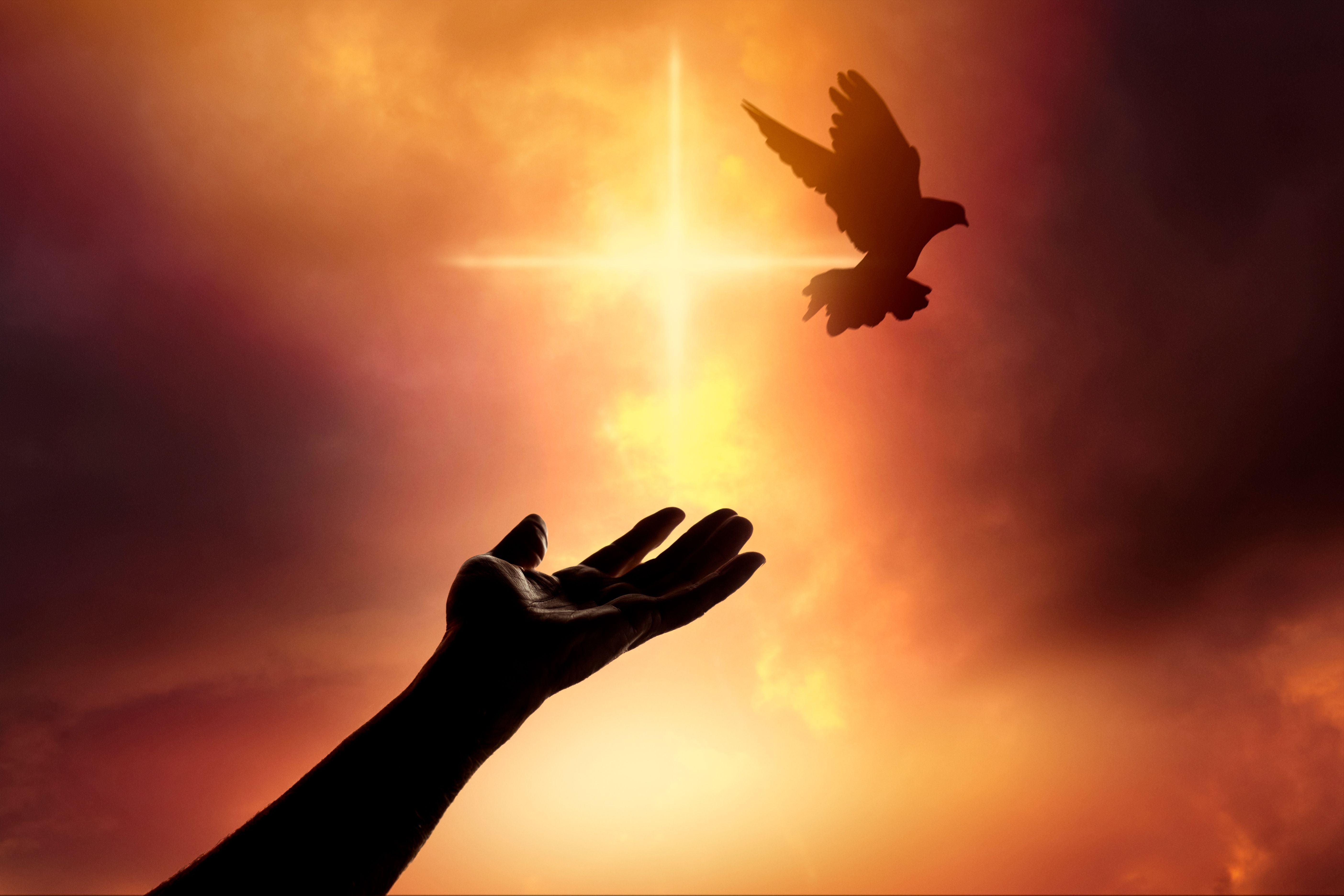 Cultivating the Fruit of the Spirit in Your Life