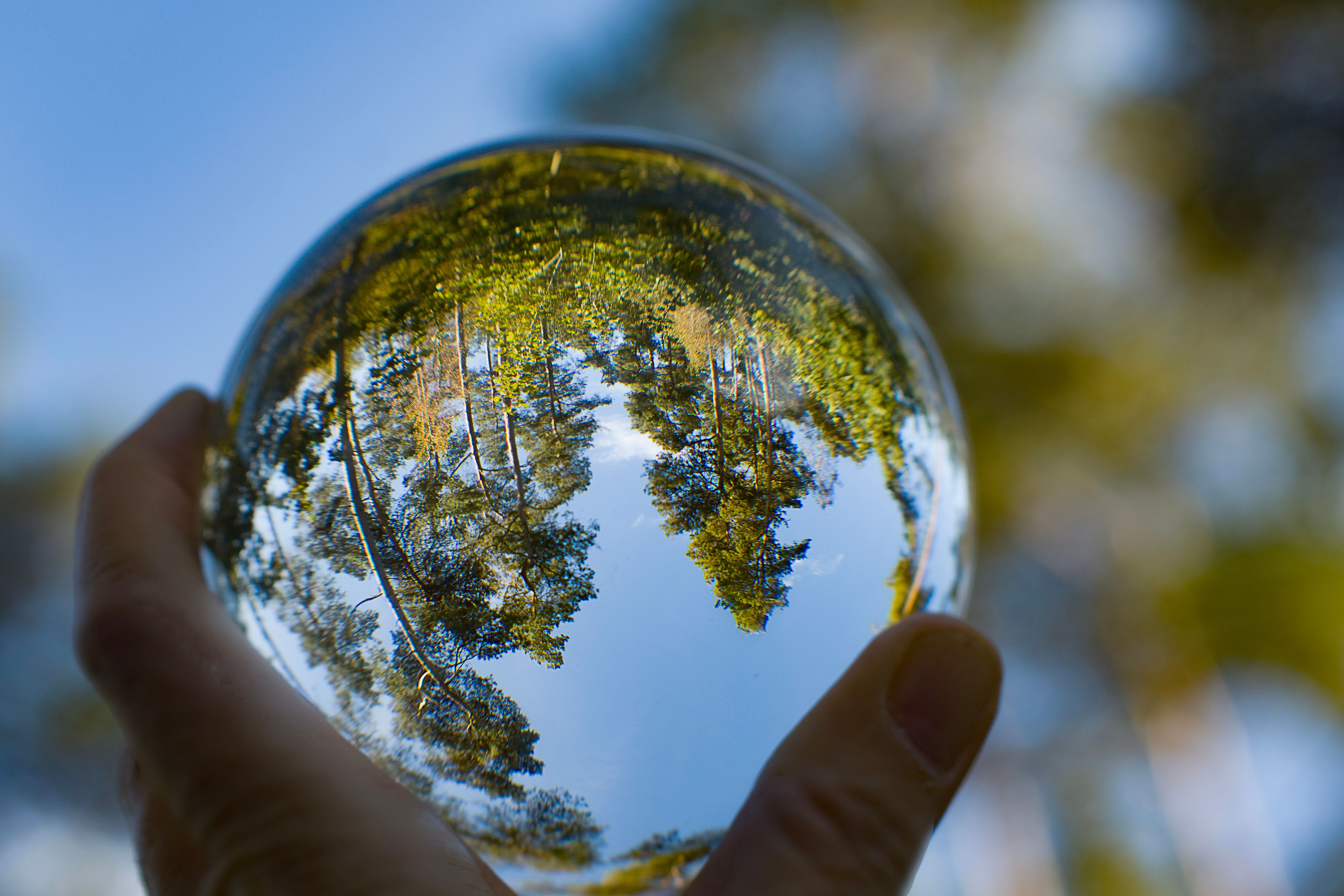 Balloon Sustainability | Environmental Facts | ATX Bubbles Austin