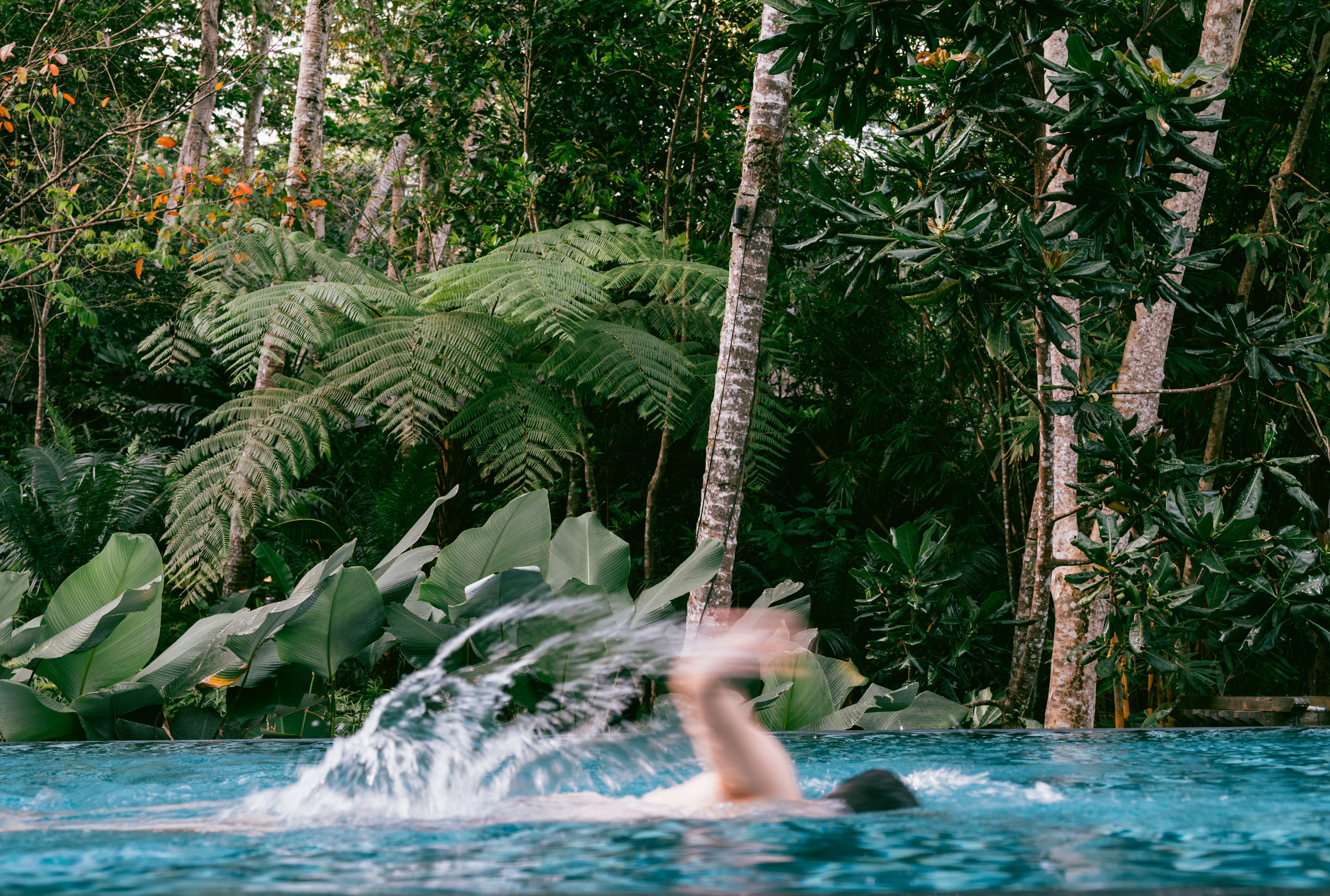 Join Triton Swim Club for Expert Training in New Zealand