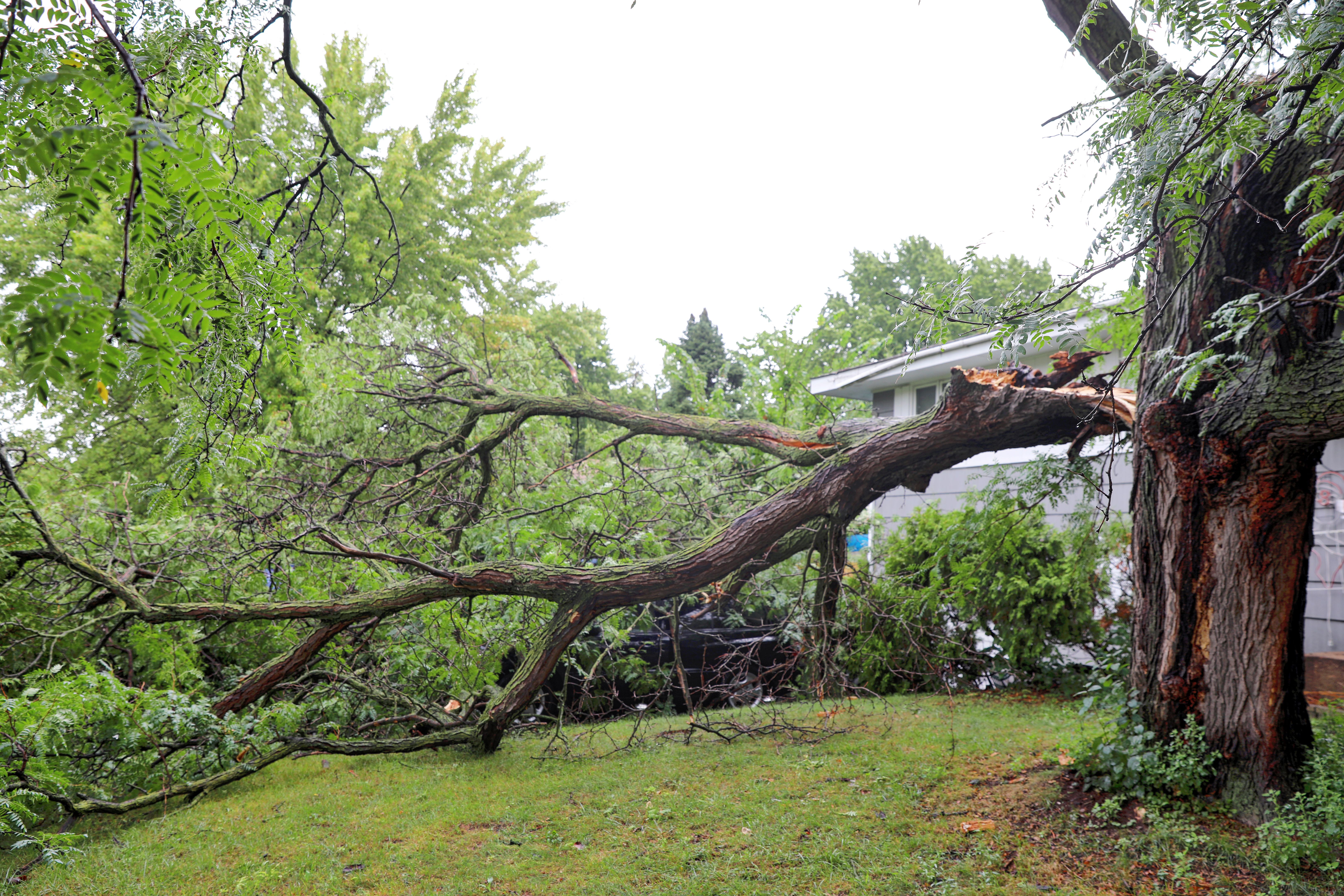 Identifying Storm Damage: Key Signs to Watch Out For