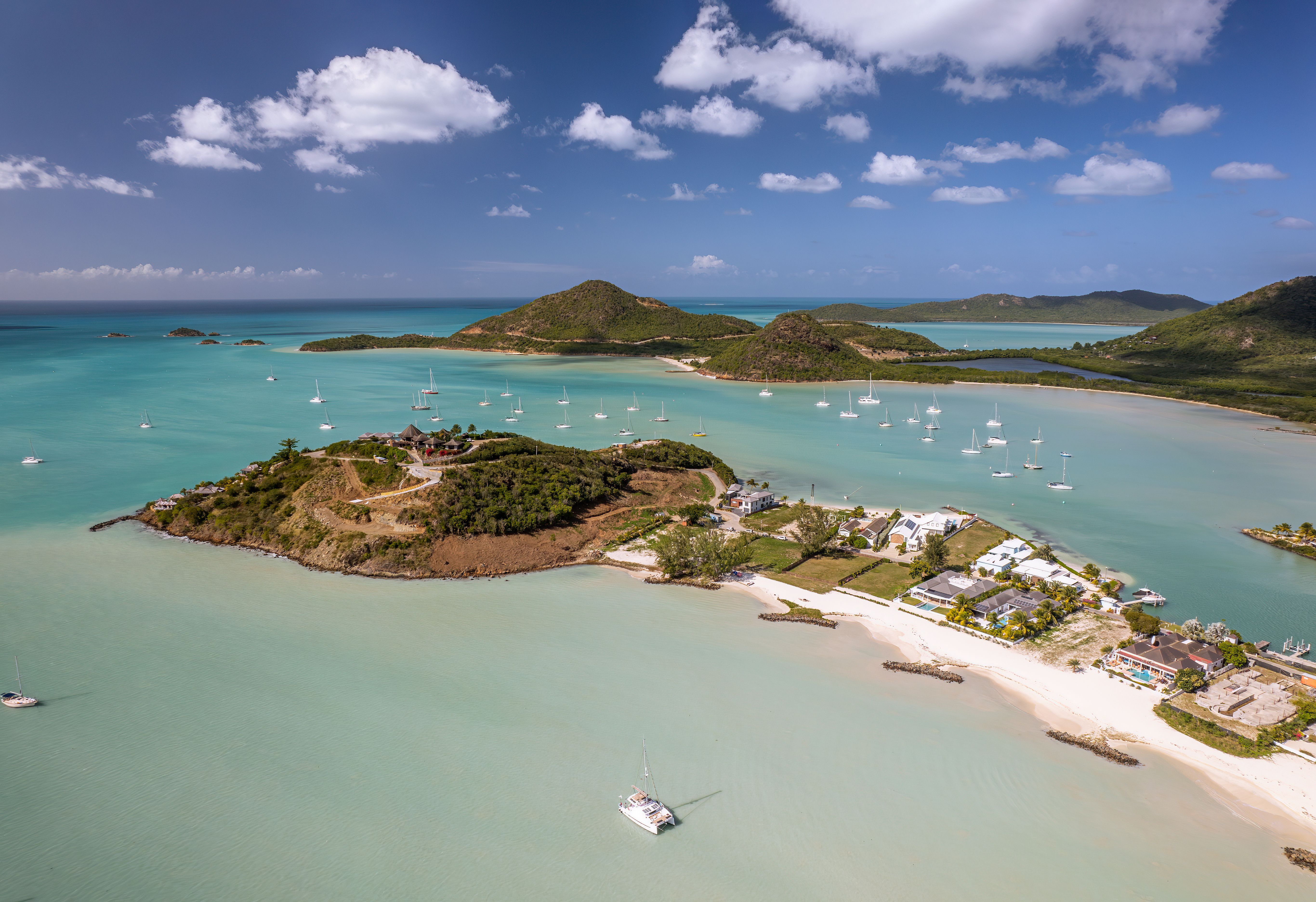 Swim with Pigs in Antigua: A Unique Island Experience