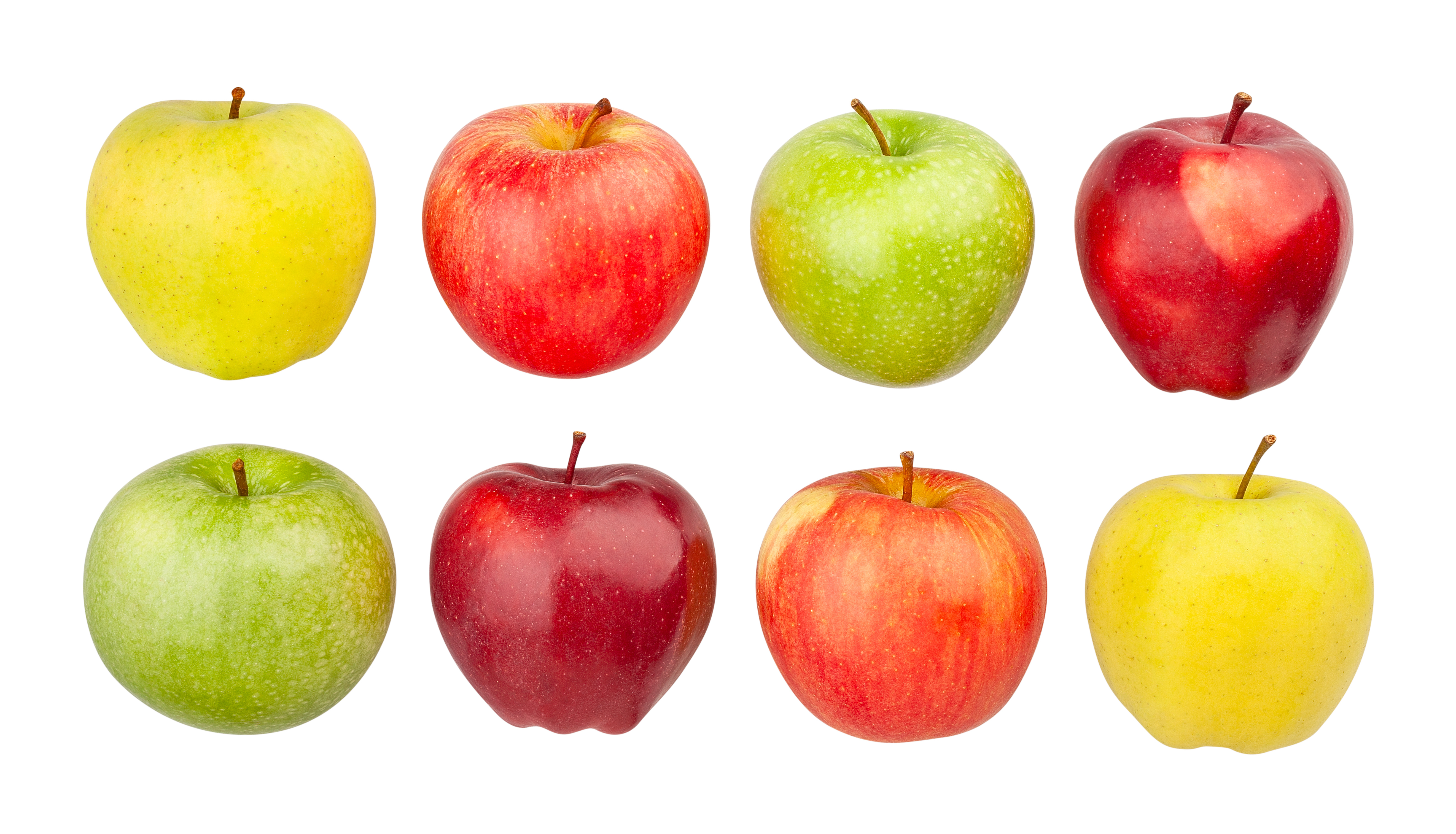 The Health Benefits of Apples: A Simple Guide