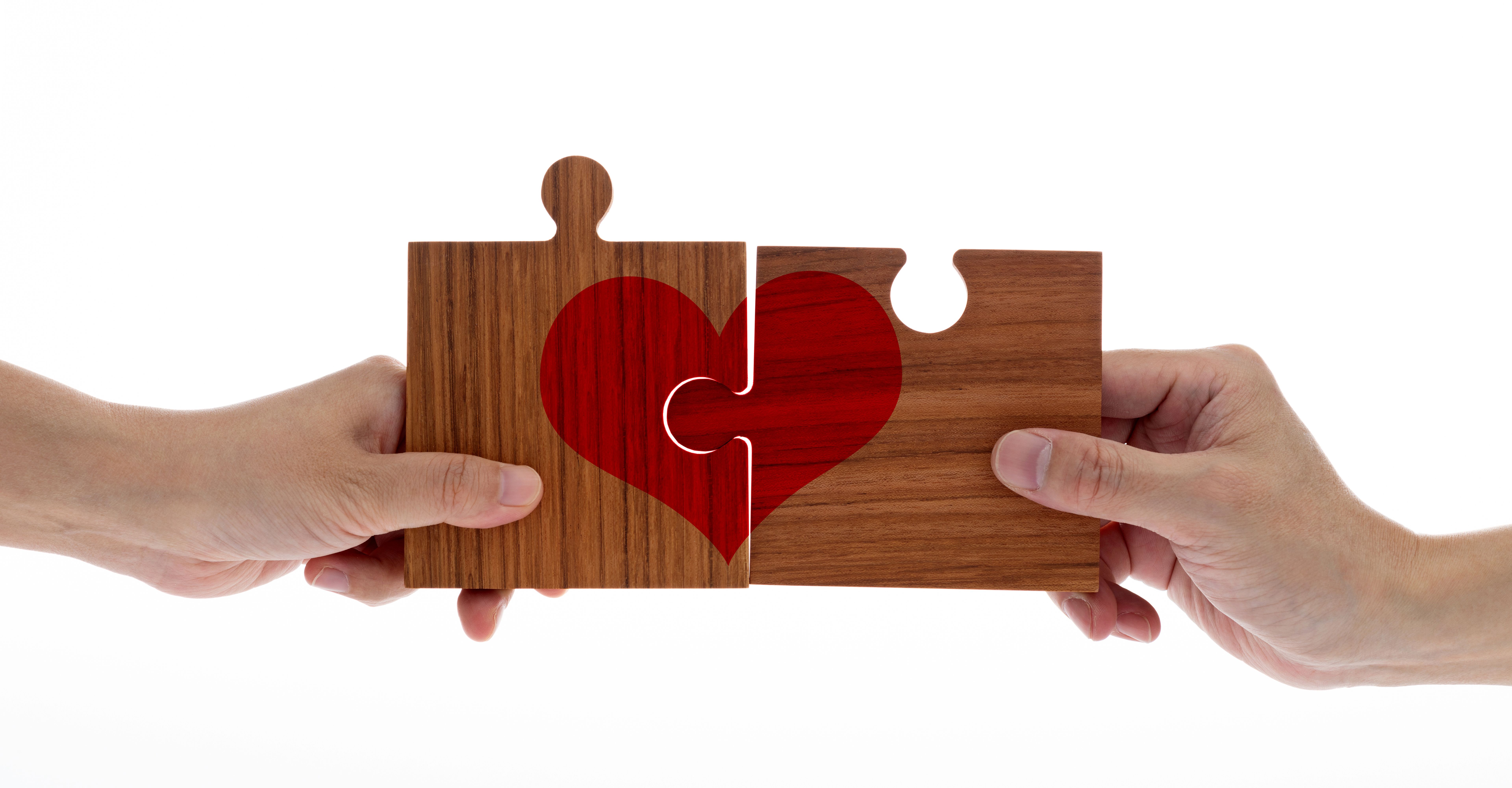 Building Strong Bonds: The Role of Shared Values in Relationships