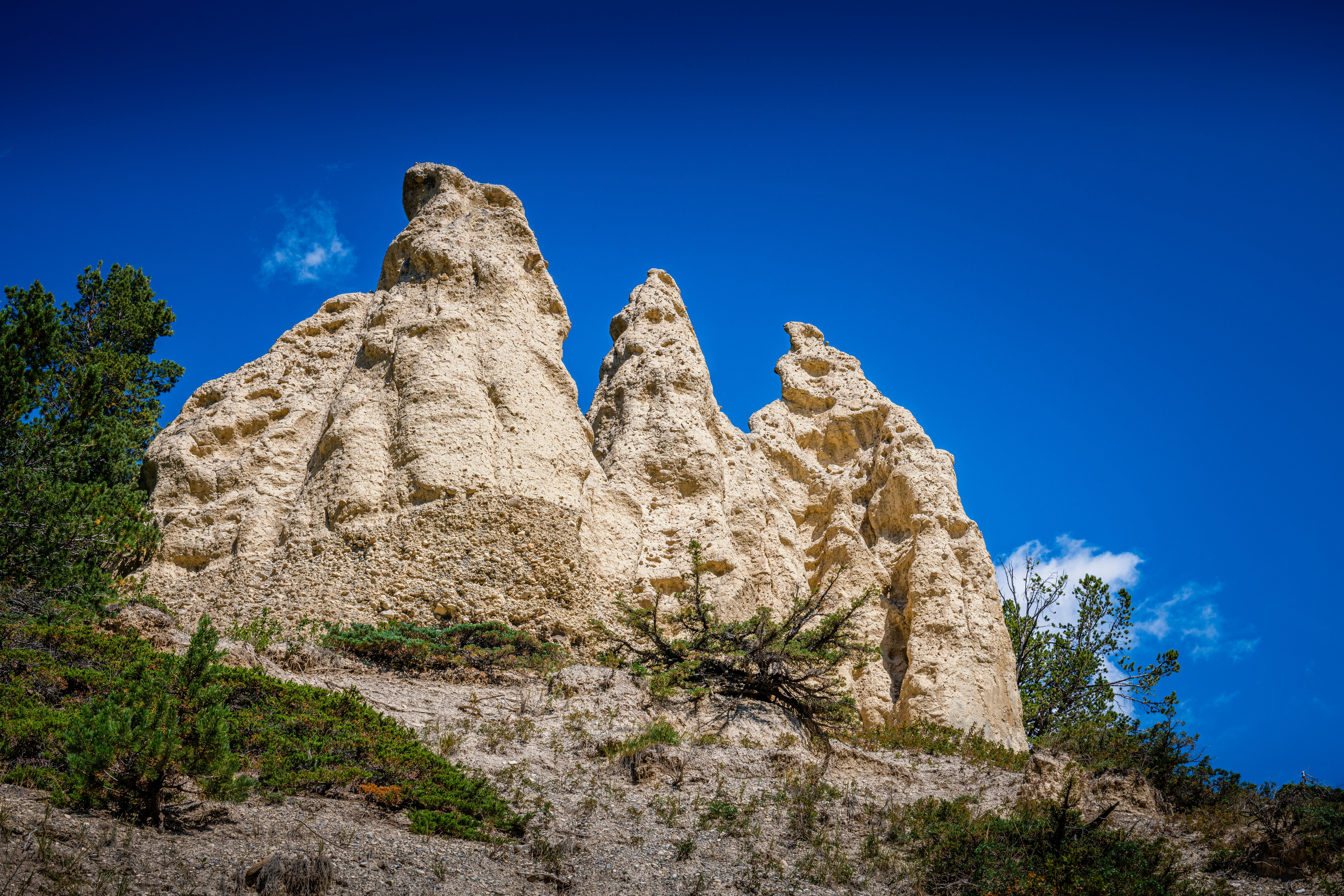 Custom FPGA Solutions and Embedded Software Development