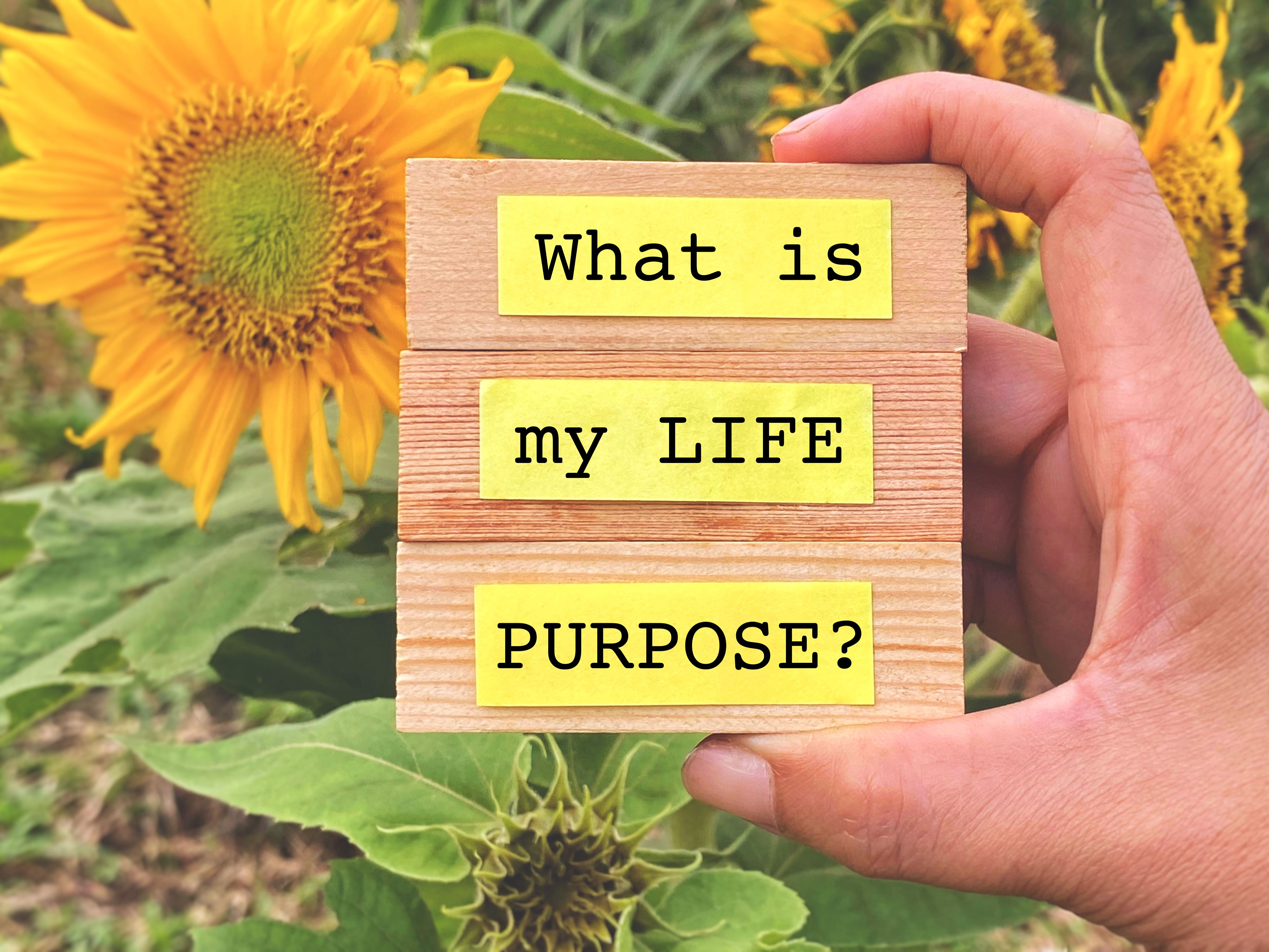 Exploring the Question: Do Humans Have a Natural Purpose in Life?