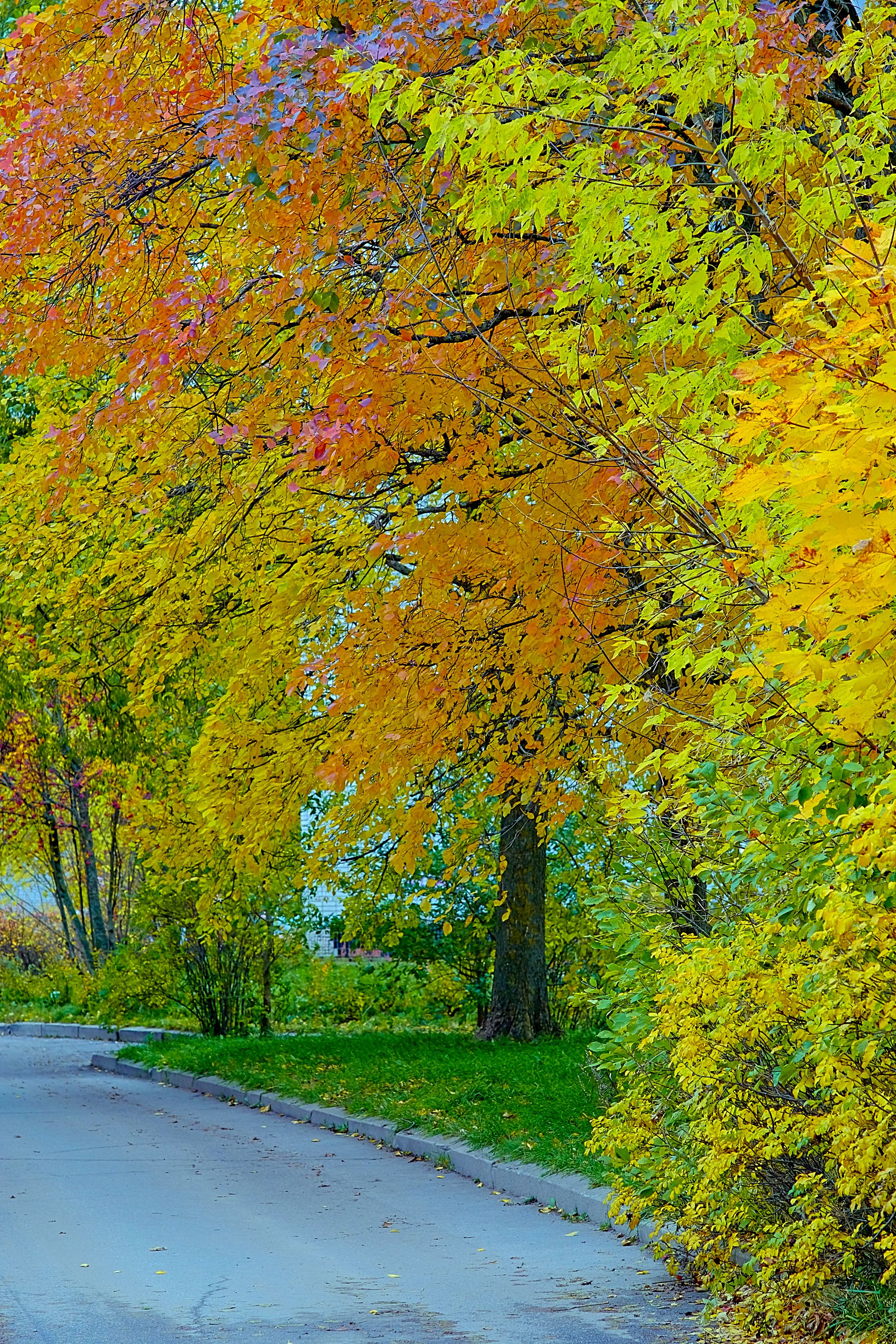 Exploring Hartford's Fall Parks and Their Unique Architecture