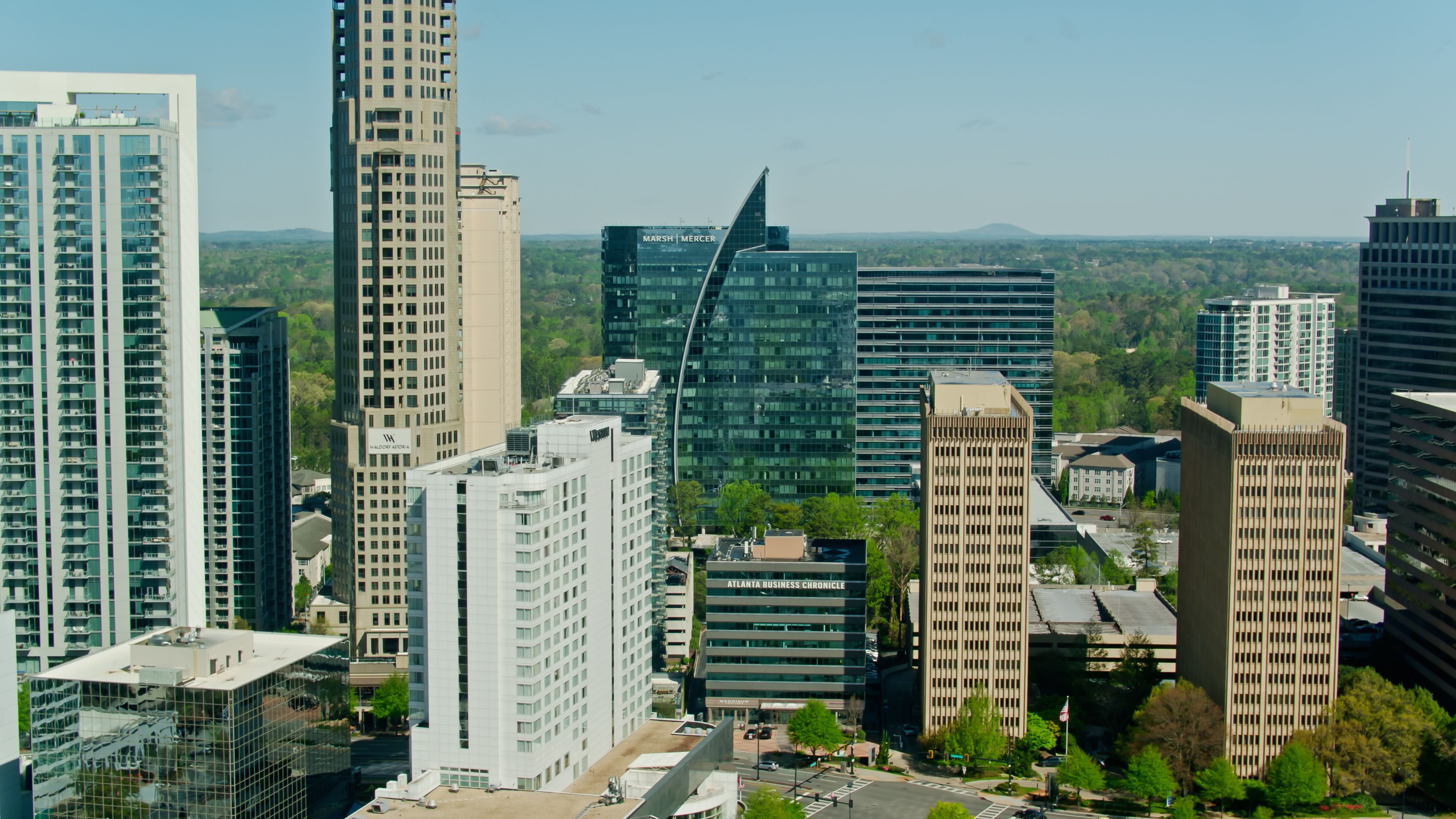 Exploring the Best Dog Walking Routes and Parks in Buckhead