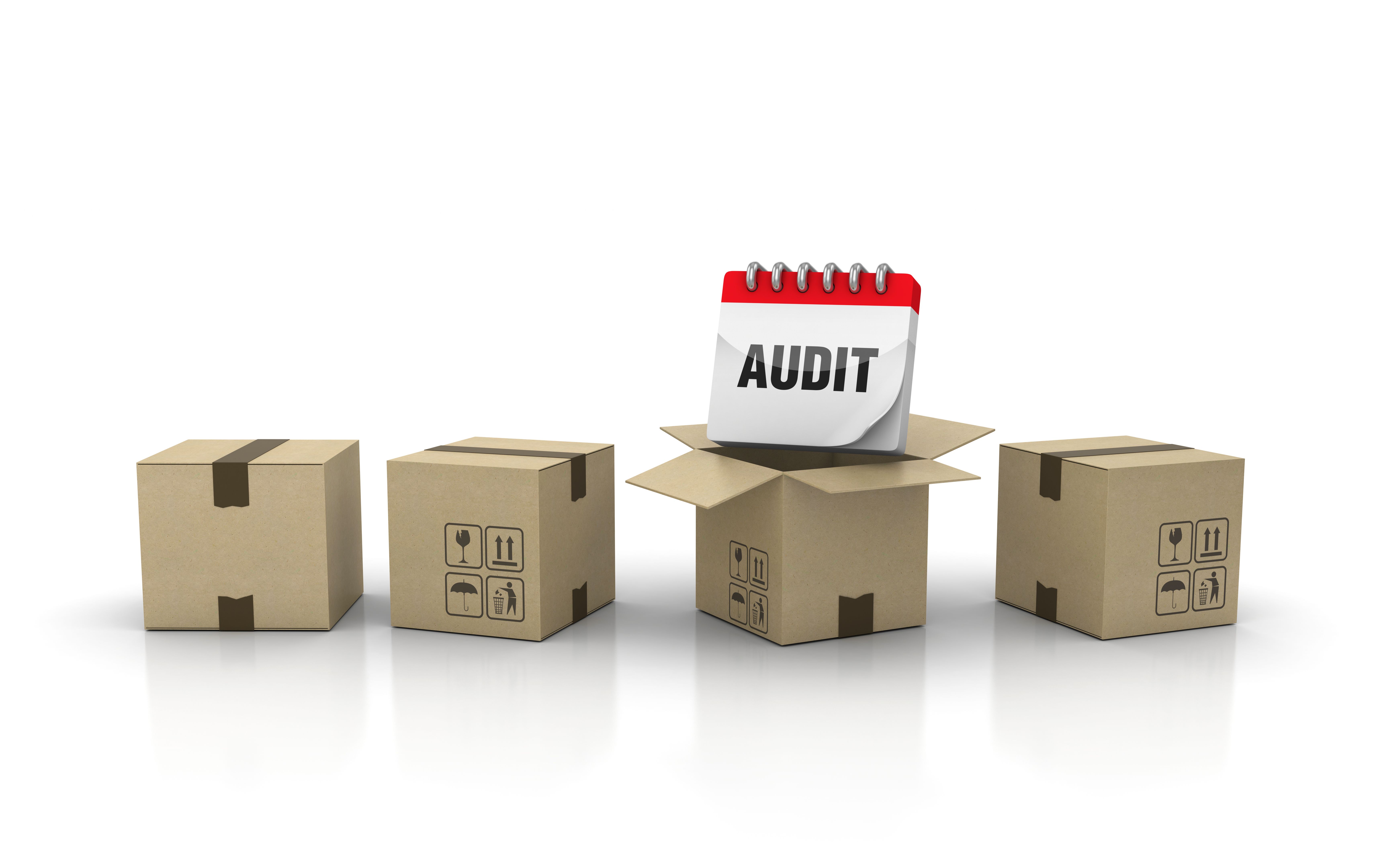 The Ultimate Guide to Small Parcel Carrier Audit and Recovery