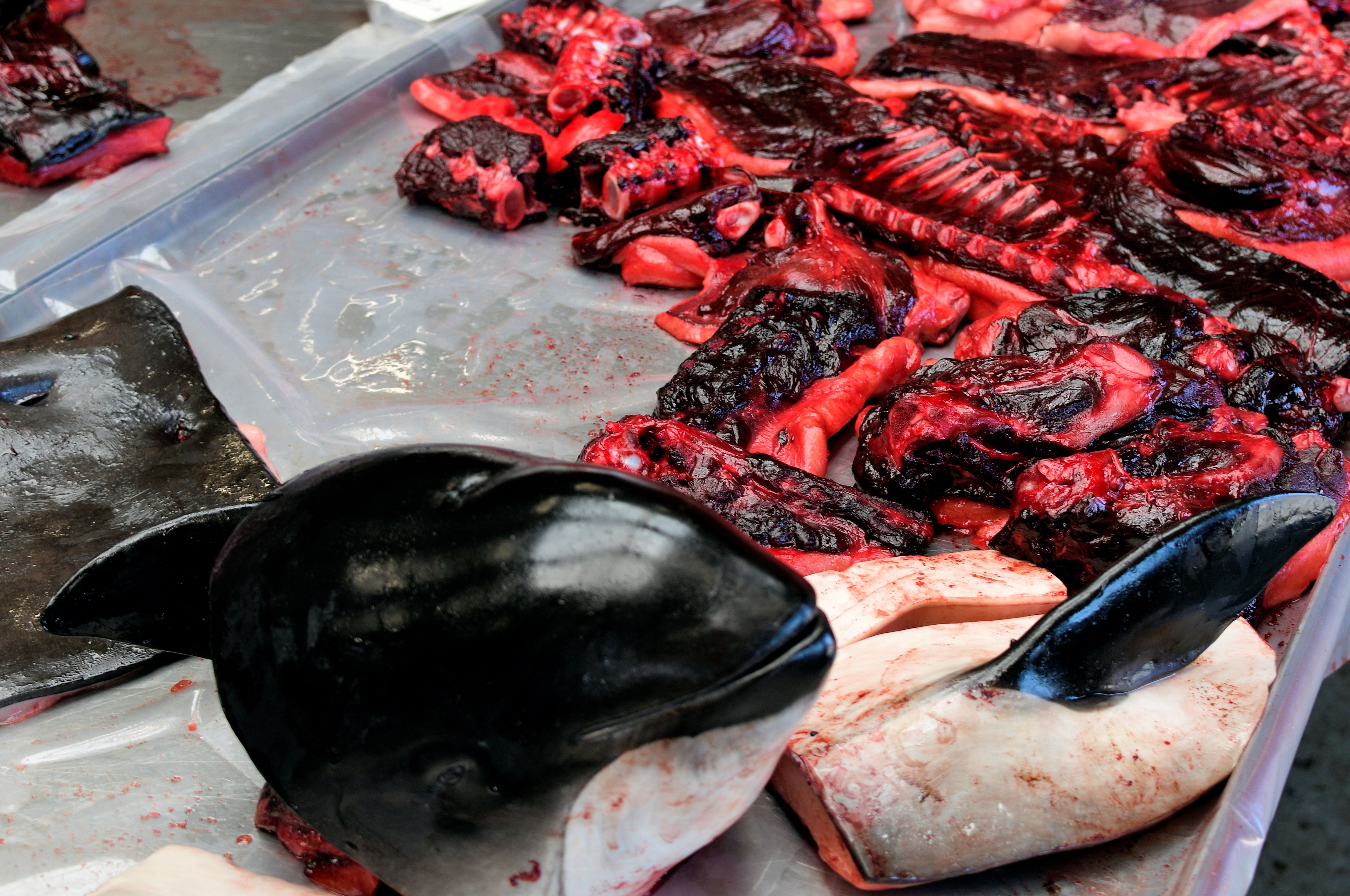 Exploring Hakass: Greenland's Fermented Seal Meat Tradition