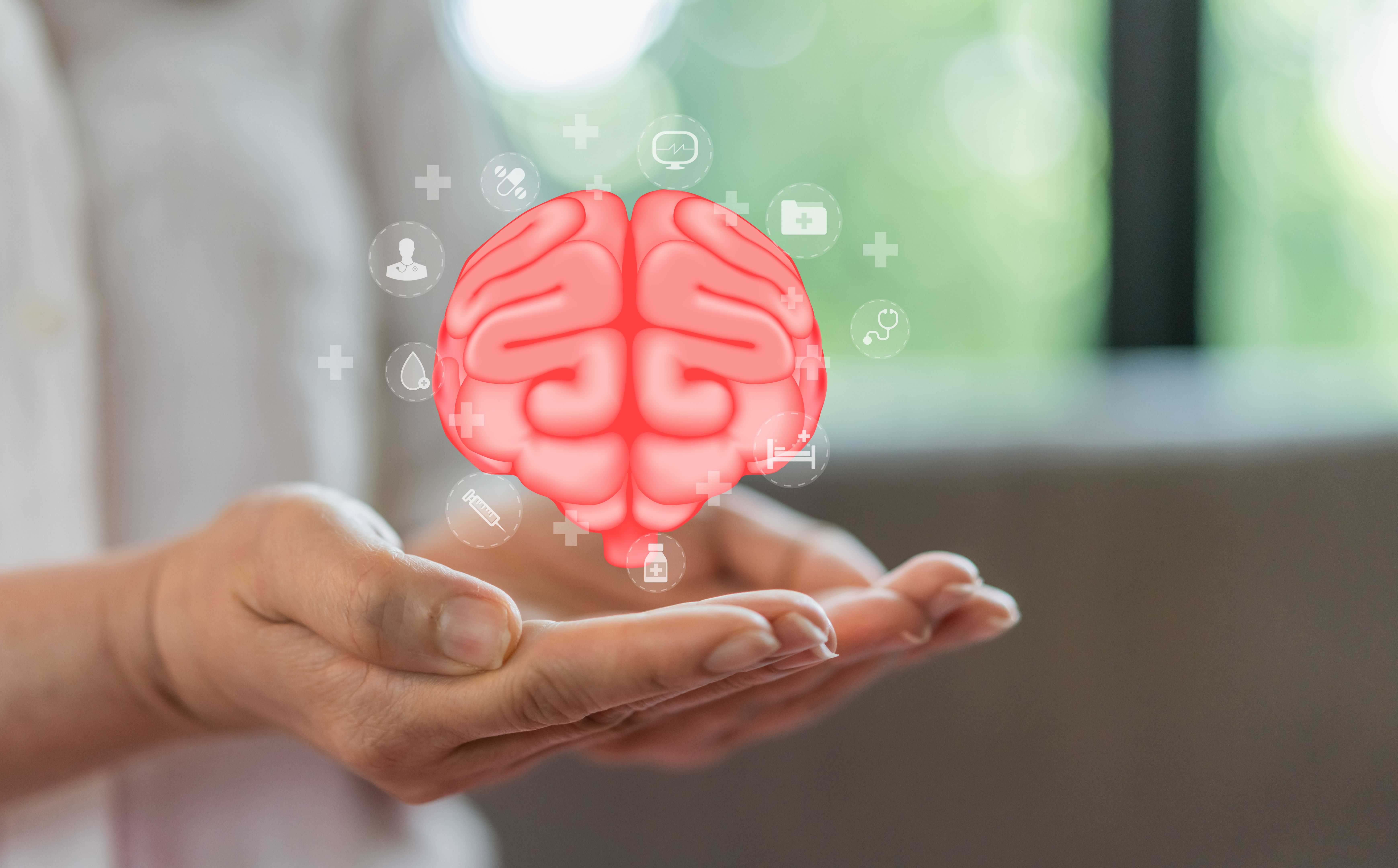 Top 6 Neuroscience Breakthroughs of 2024