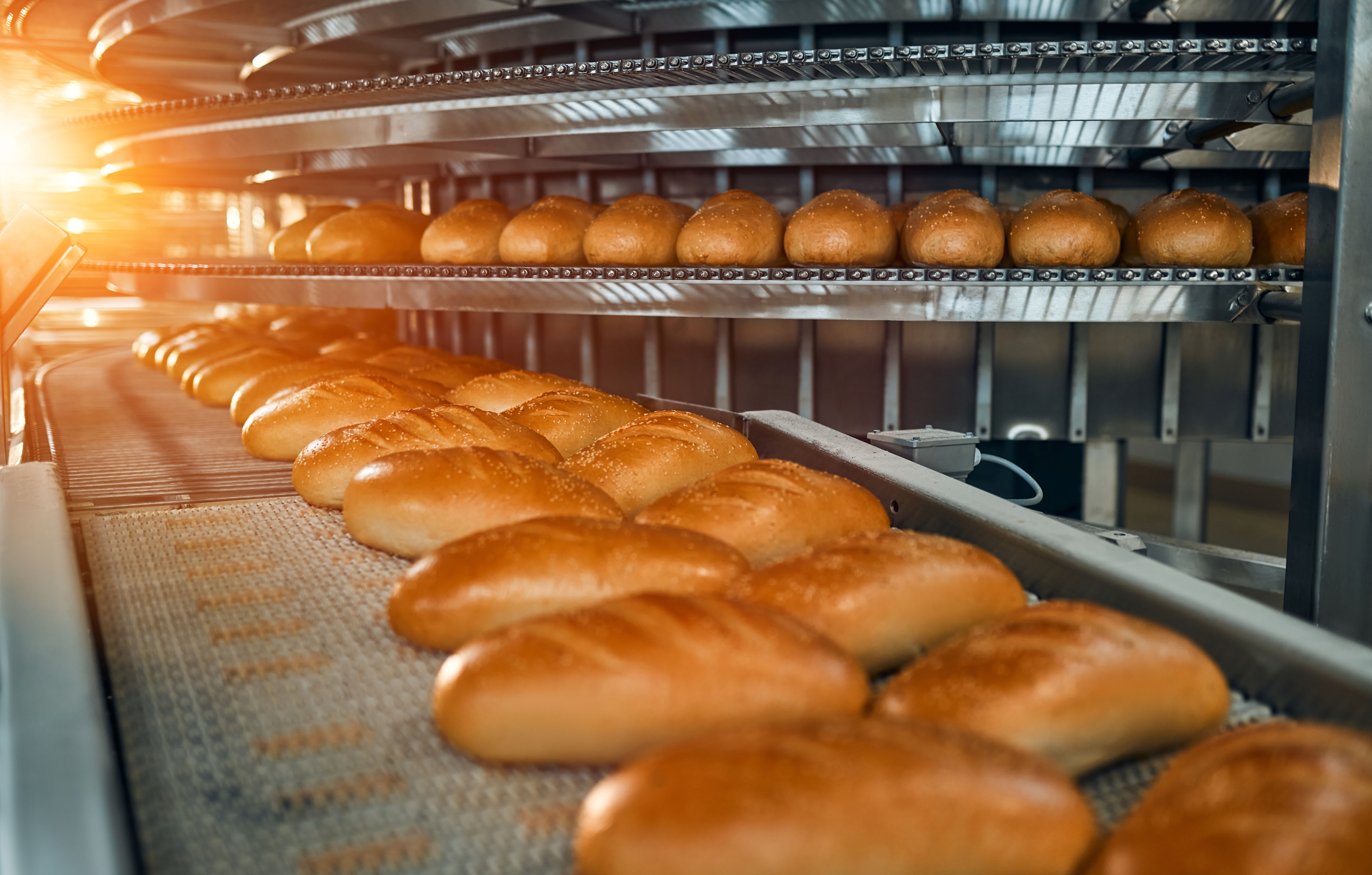 The Essential Guide to Industrial Baking Equipment