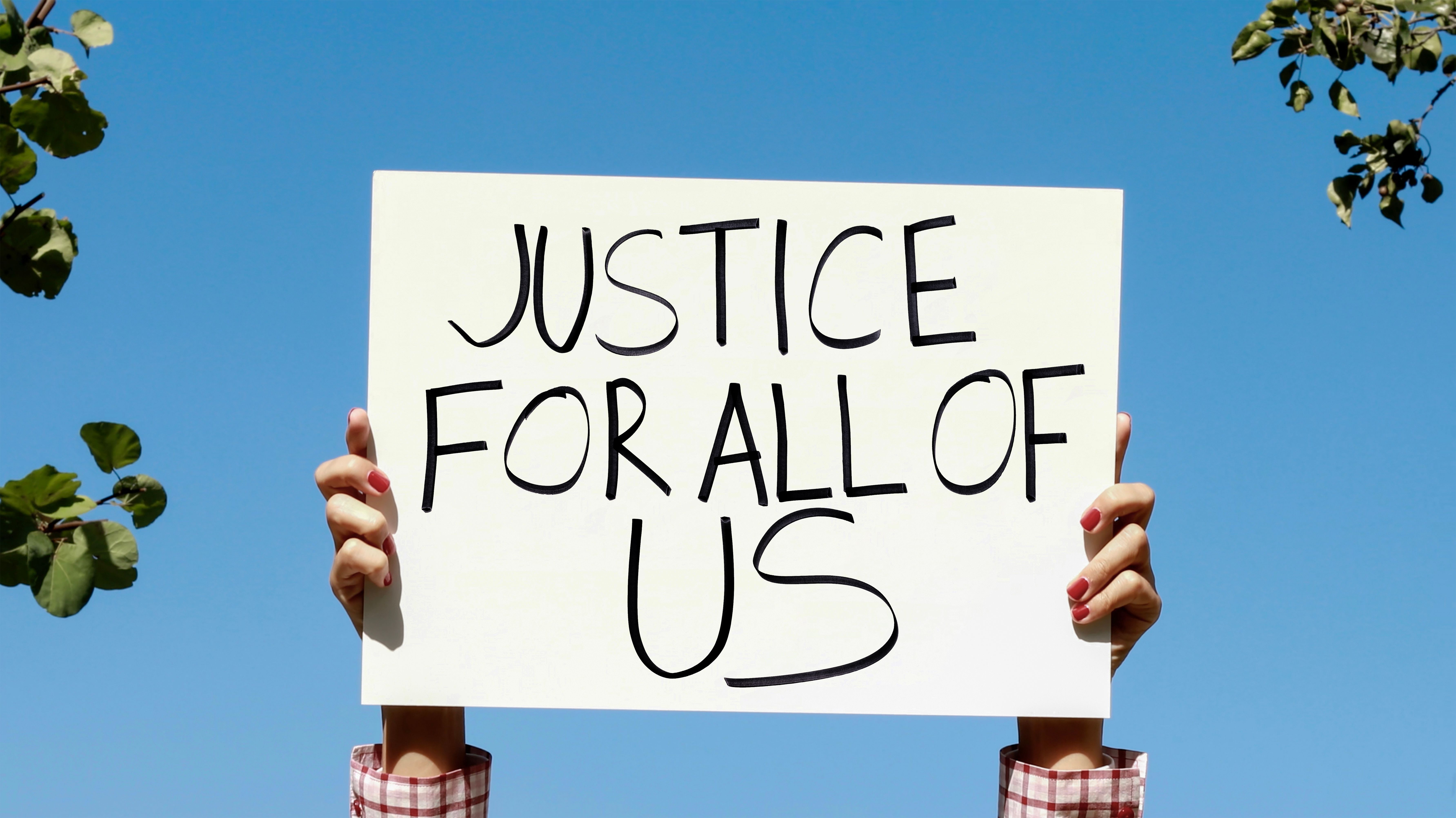 Success Stories: Impactful Human Rights Advocacy Initiatives