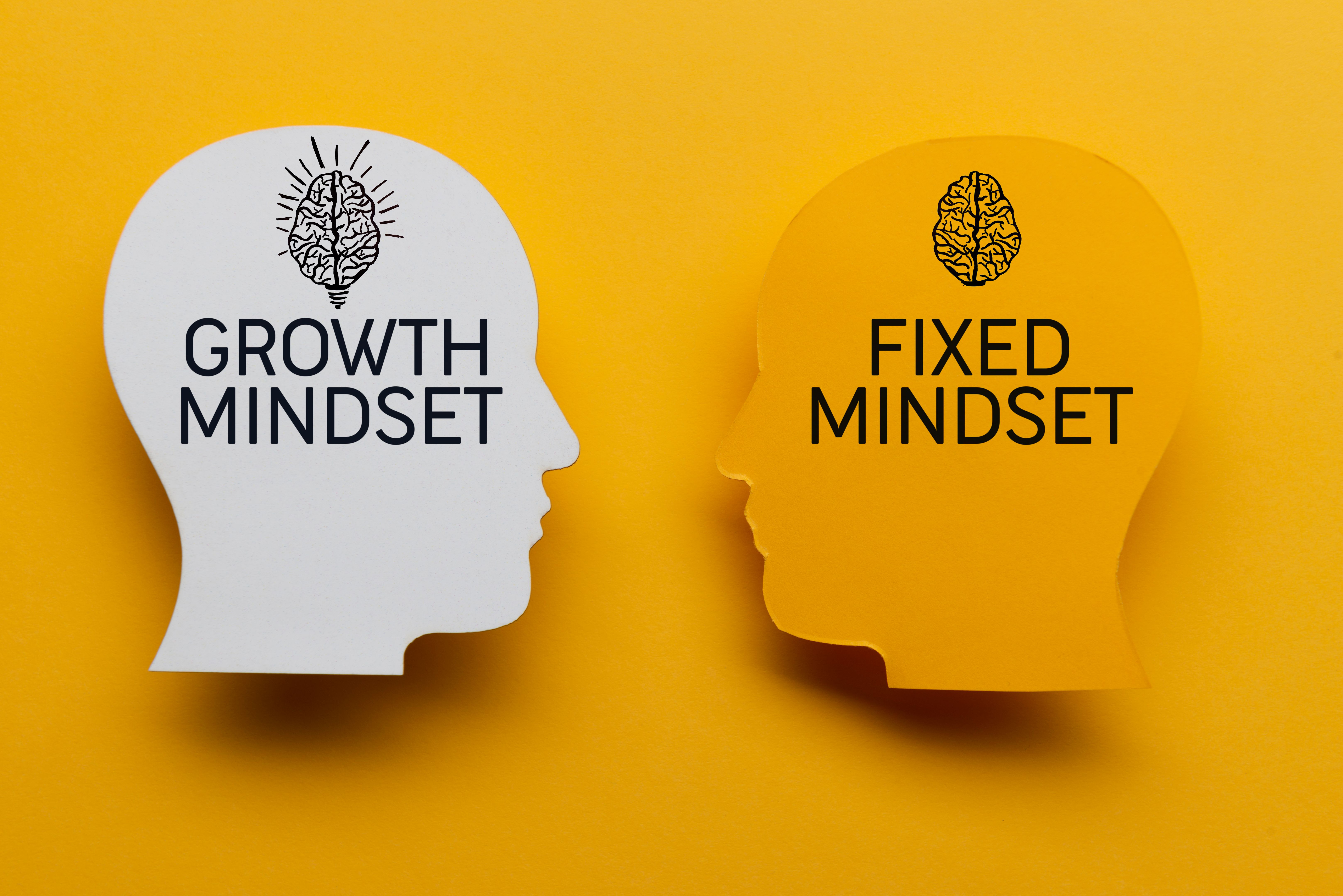 The Importance of a Growth Mindset for Business Leaders and How ...