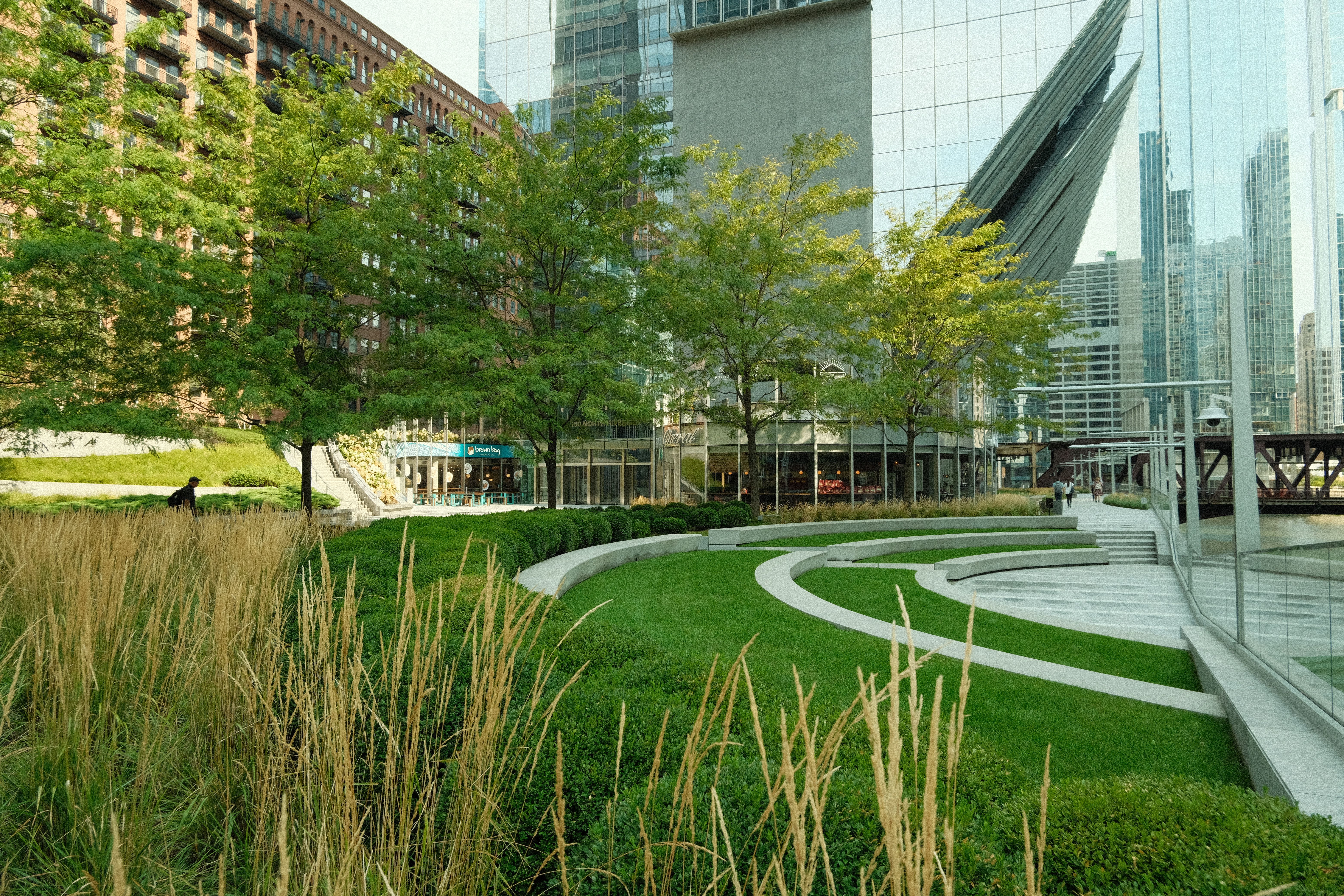 Spring Garden Design for Sustainable Chicago Homes