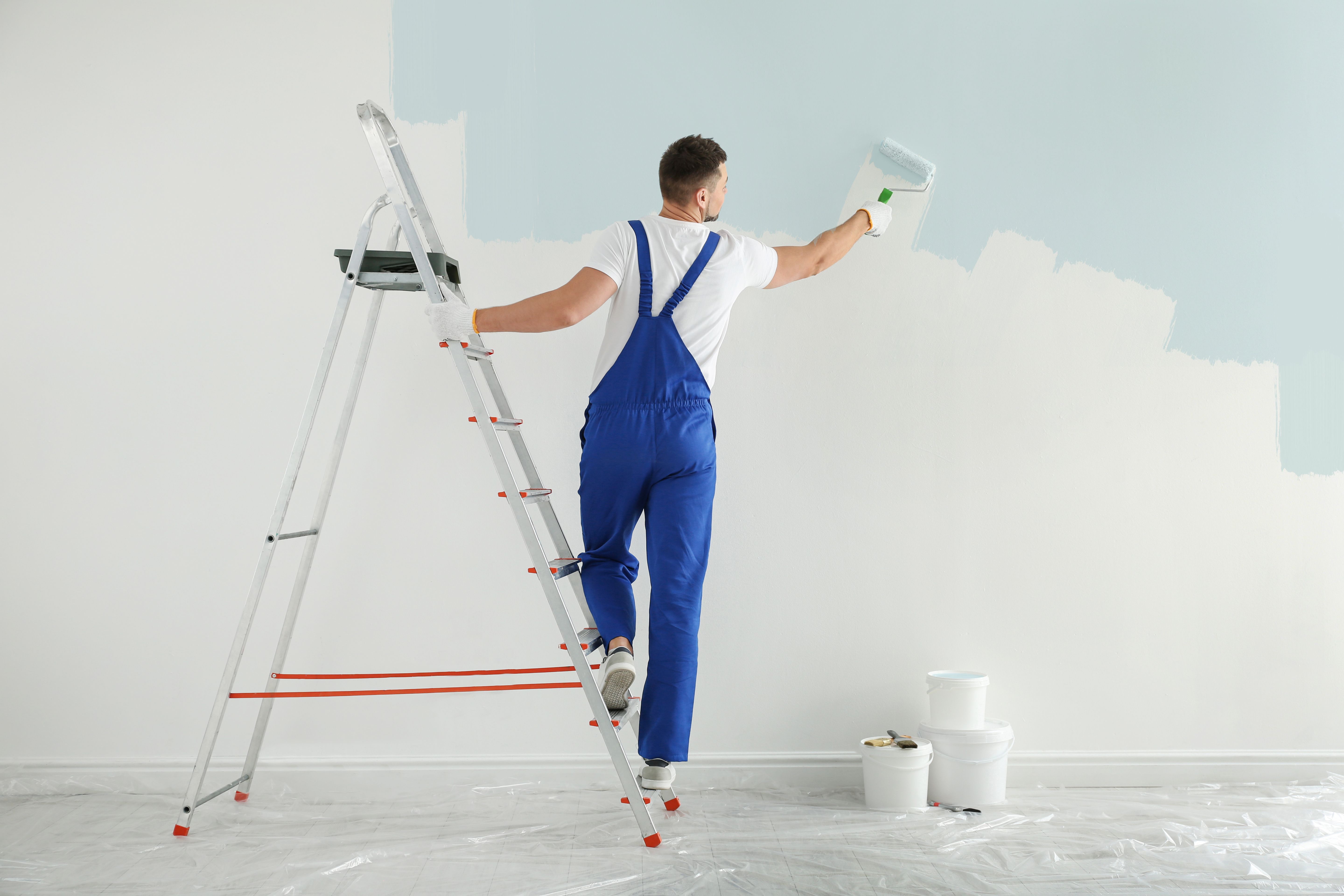 Professional Wall Painting Services | Bharat Color Work